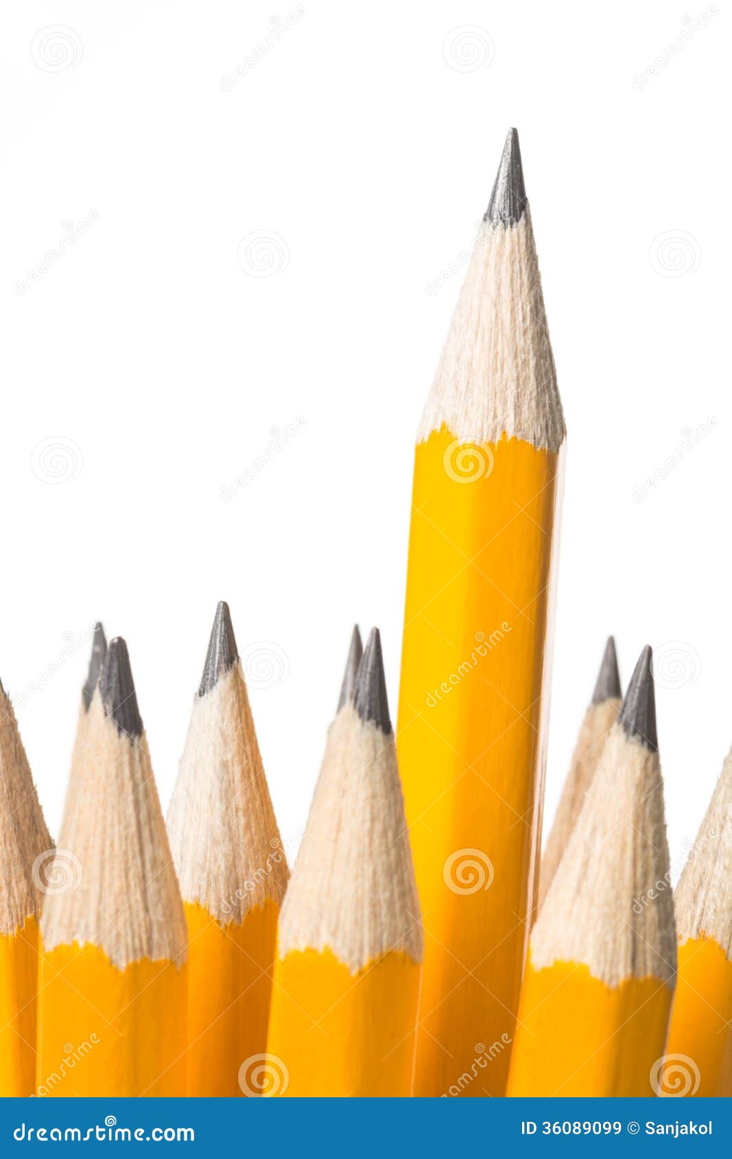 Sharpened Pencil Standing Out Stock Image - Image of office, white ...