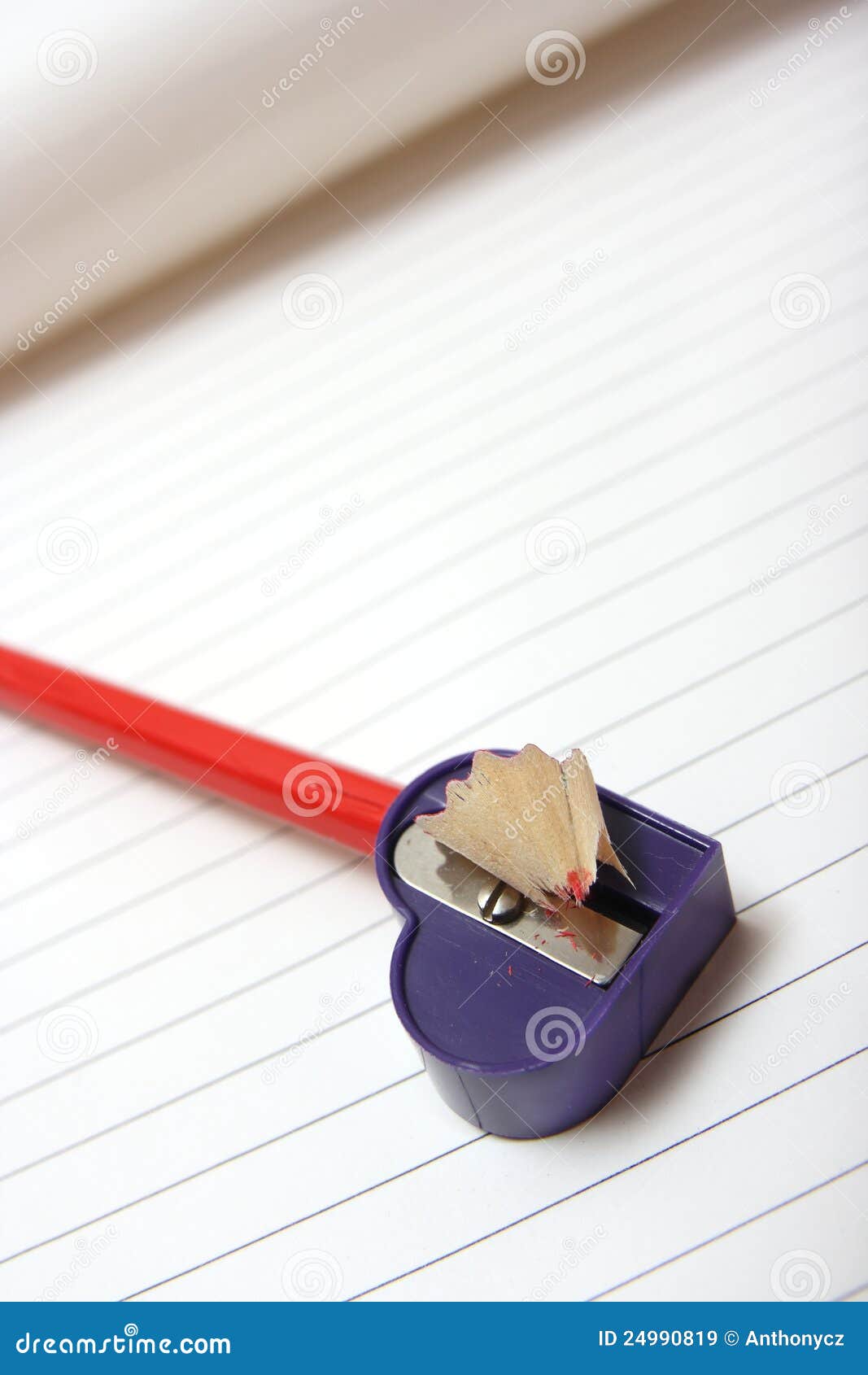 Sharpener on paper stock image. Image of study, notebook - 24990819