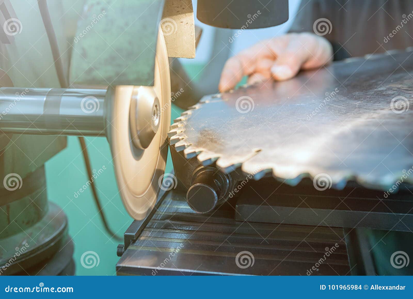 Sharpening Circular Saw, Worker Sharpens a Circular Saw Blade Stock ...
