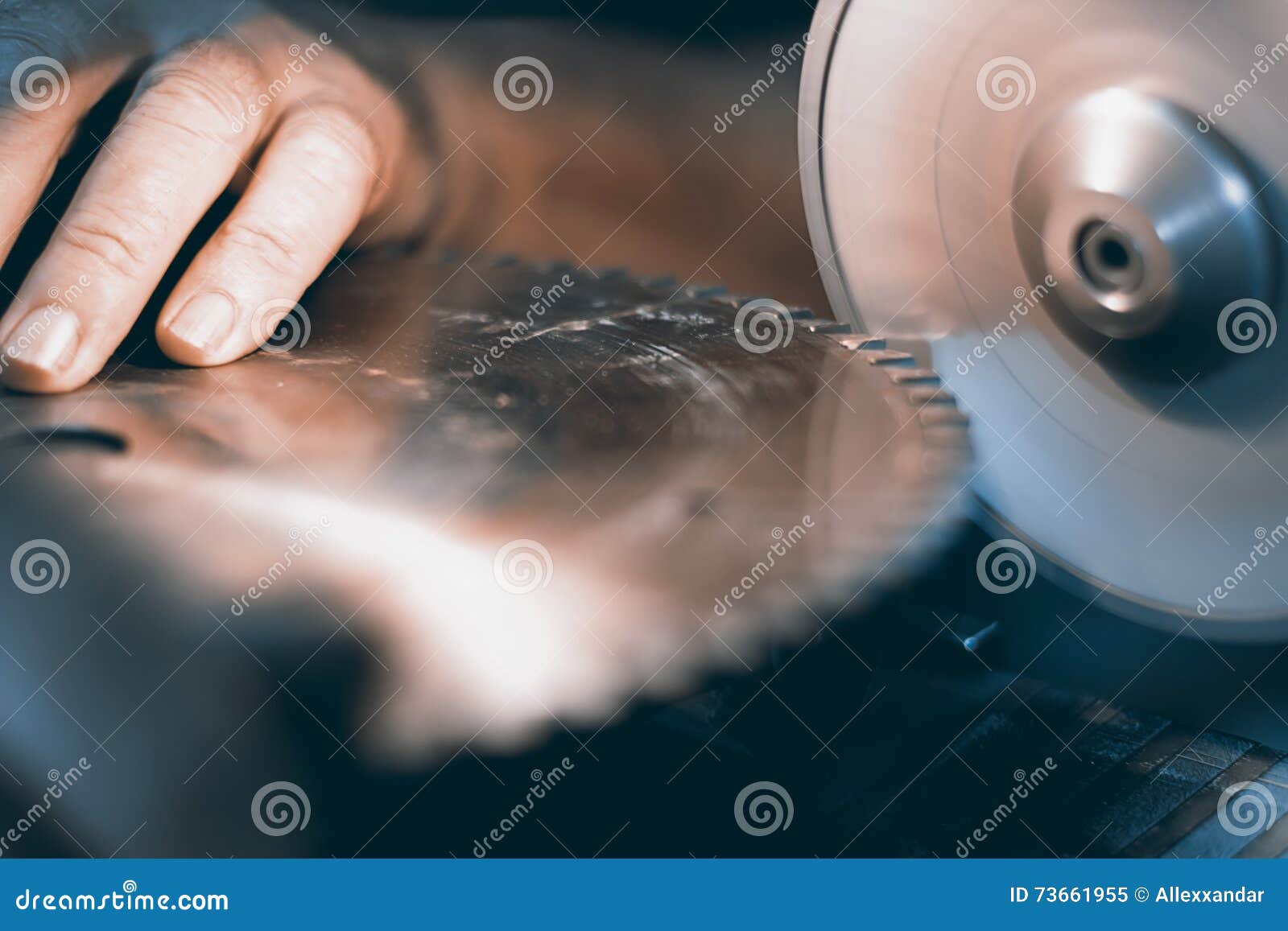 Sharpening Circular Saw, Worker Sharpens a Circular Saw Blade Stock ...