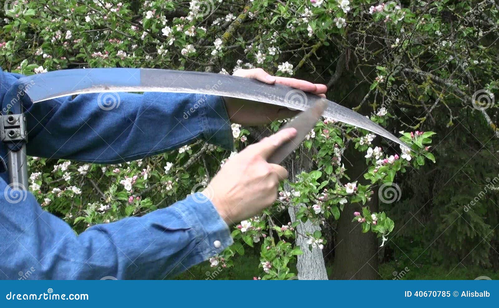 Sharpening Scythe Tool in Spring Farm Garden Stock Video - Video of ...