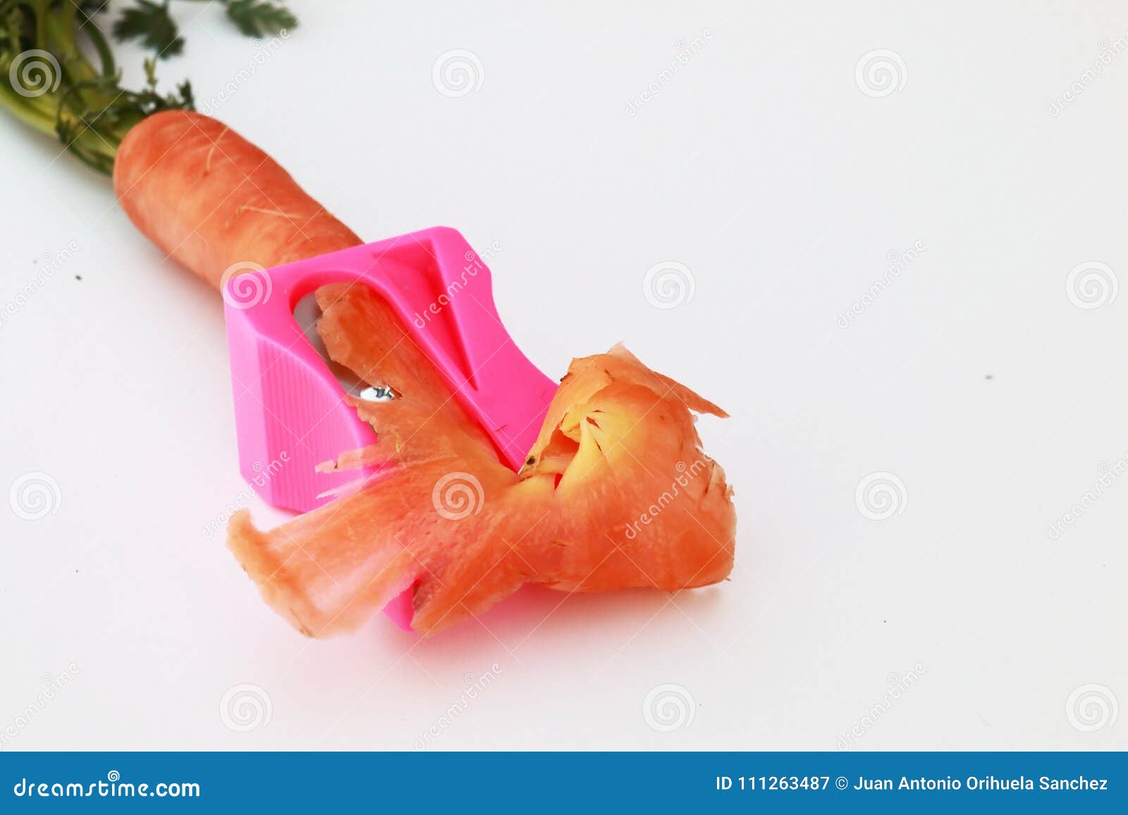 Sharpening Tip To a Carrot with a Pencil Sharpener Stock Image - Image ...