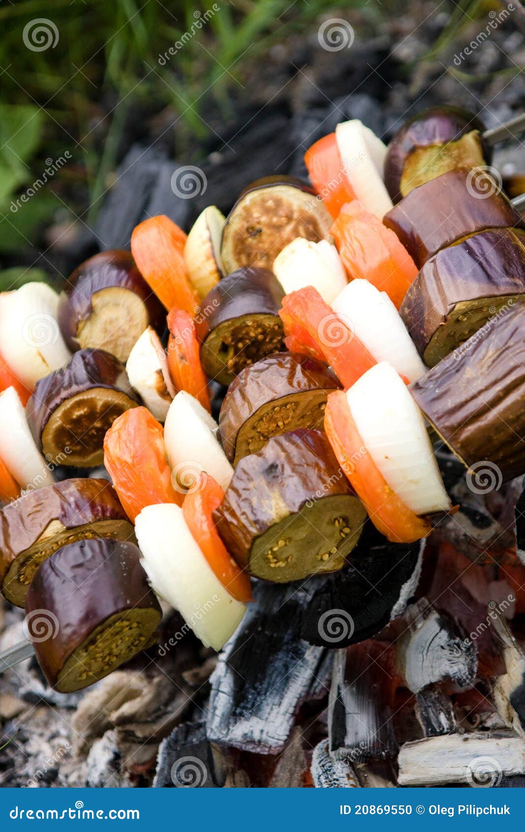 Shashlick stock photo. Image of skewer, onion, dinner - 20869550