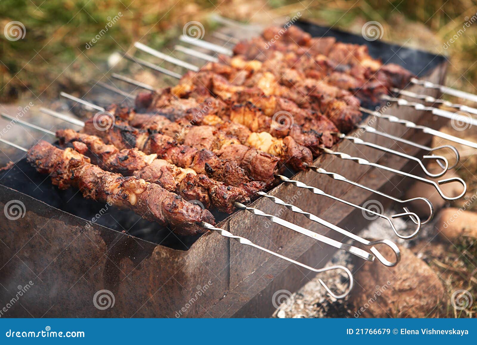 Shashlik stock image. Image of barbecue, food, nutritious - 21766679