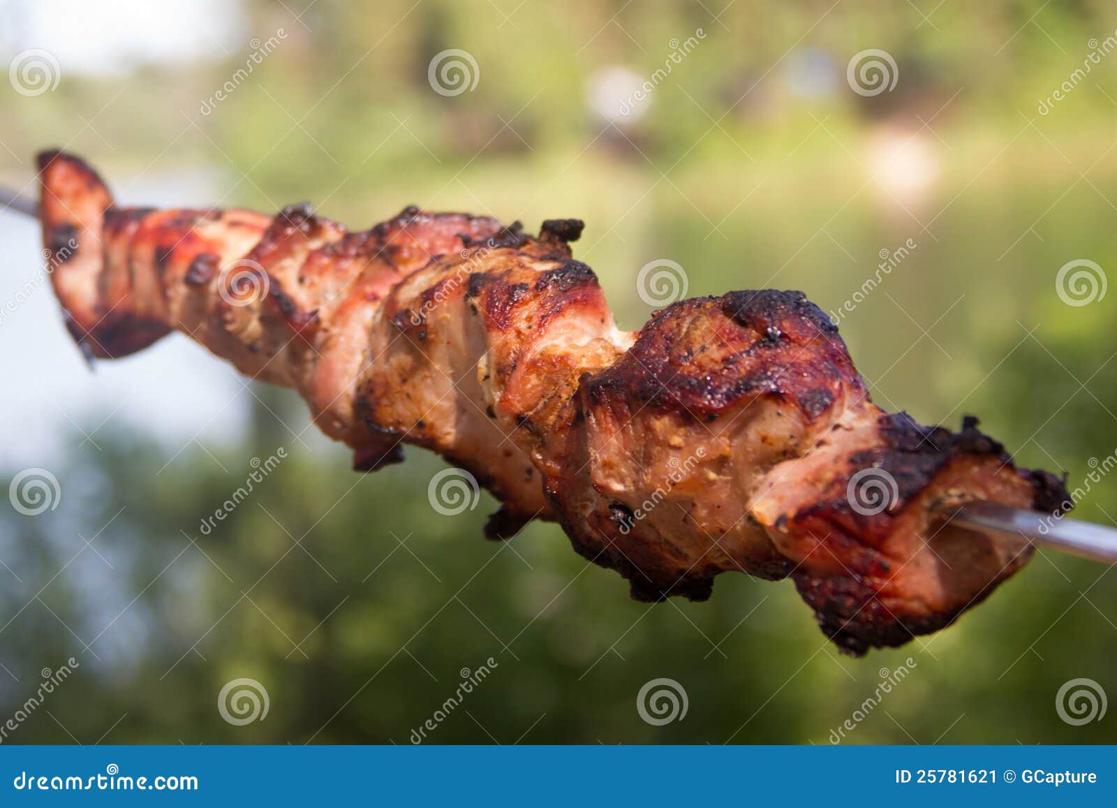 Shashlik stock image. Image of summer, pork, cooked, meal - 25781621