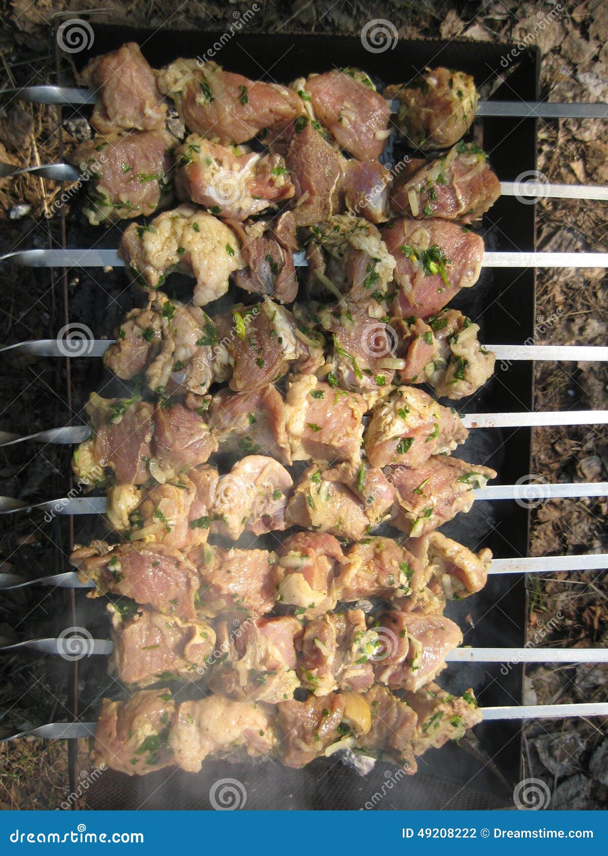 Shashlik stock photo. Image of shashlik, food, nature - 49208222