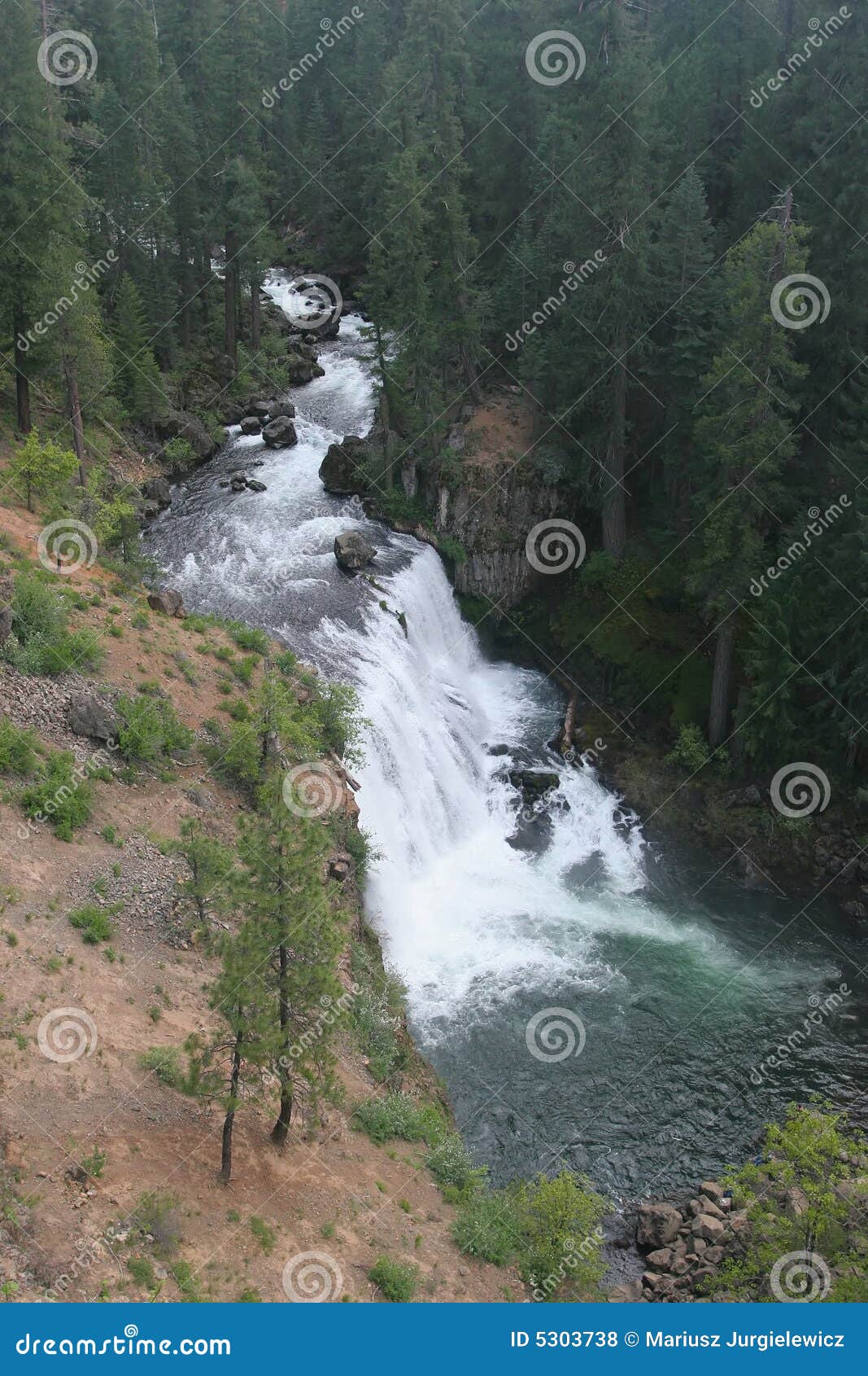 Shasta Lake Cascades stock photo. Image of peaceful, mountain - 5303738