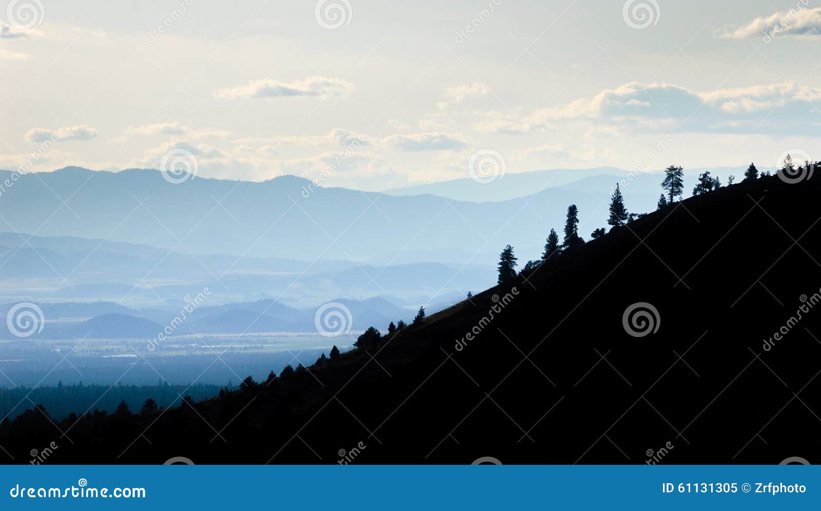 Shasta-Trinity National Forest Stock Image - Image of modoc, back: 61131305