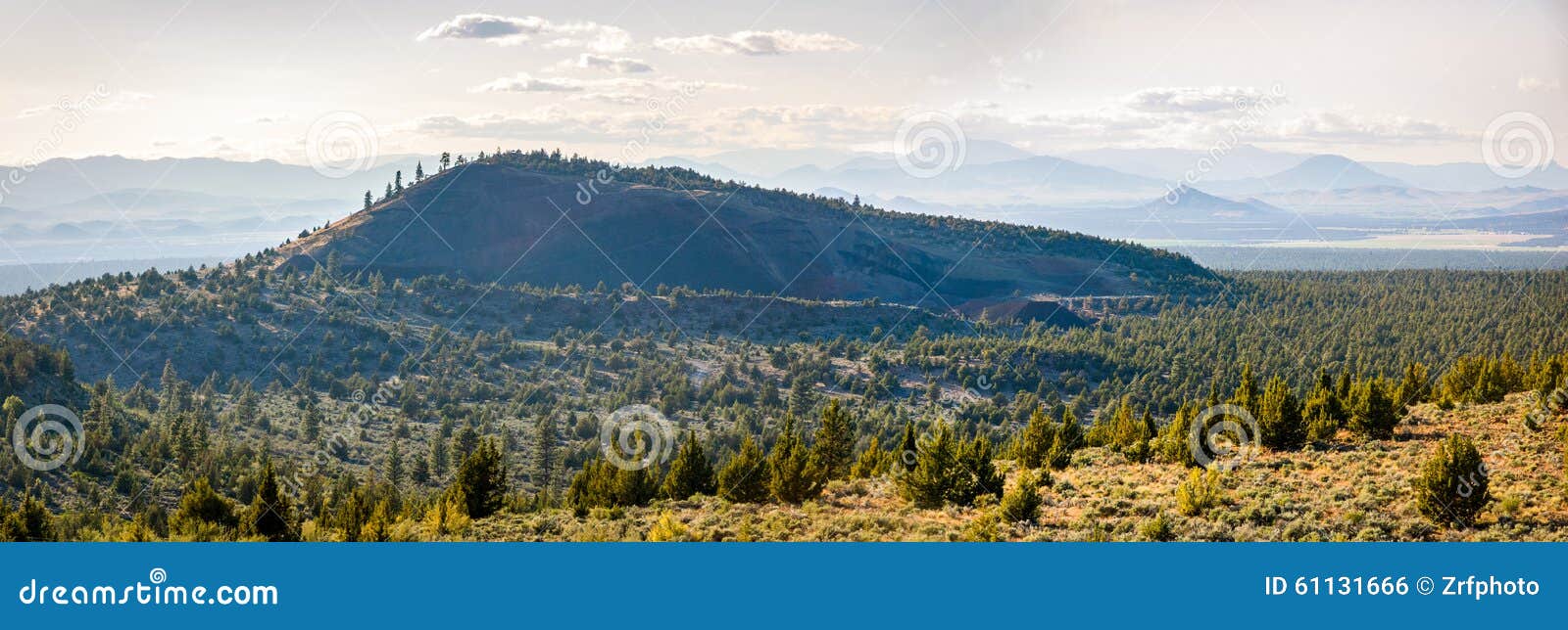Shasta-Trinity National Forest Stock Photo - Image of evergreen, forest ...