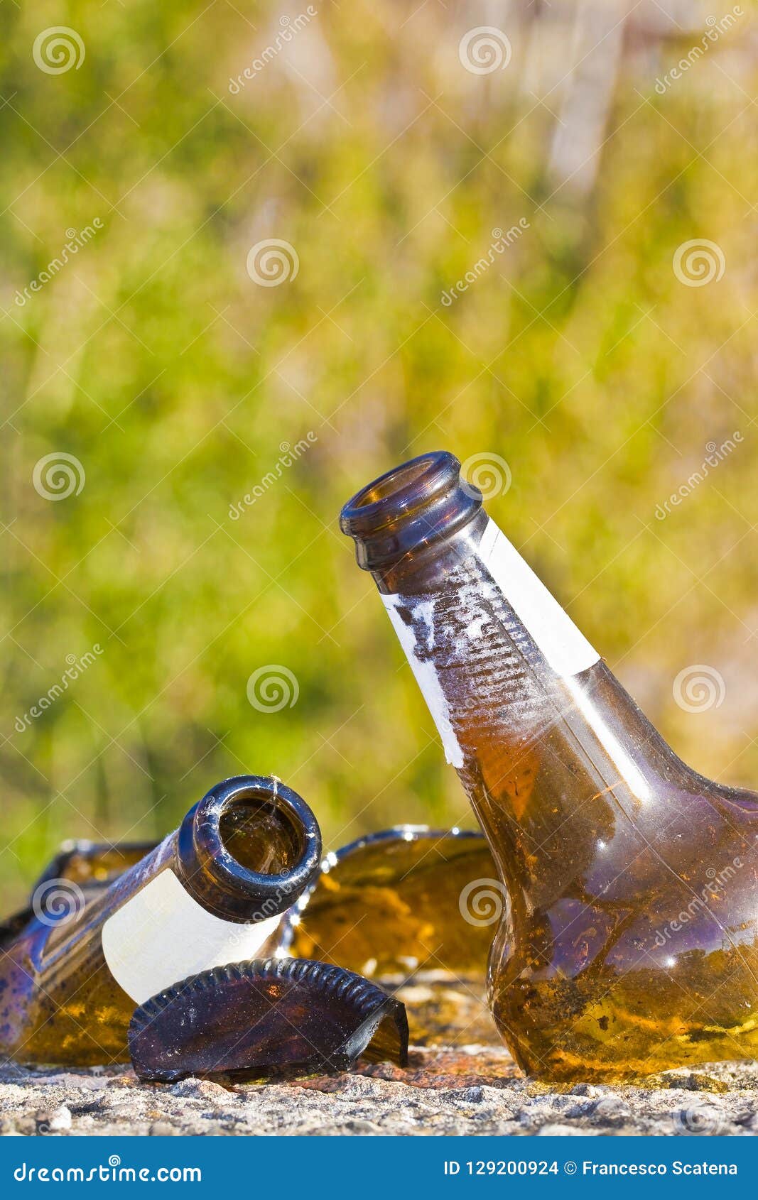 Shattered Beer Bottle Resting on the Ground: Alcoholism Concept Stock ...