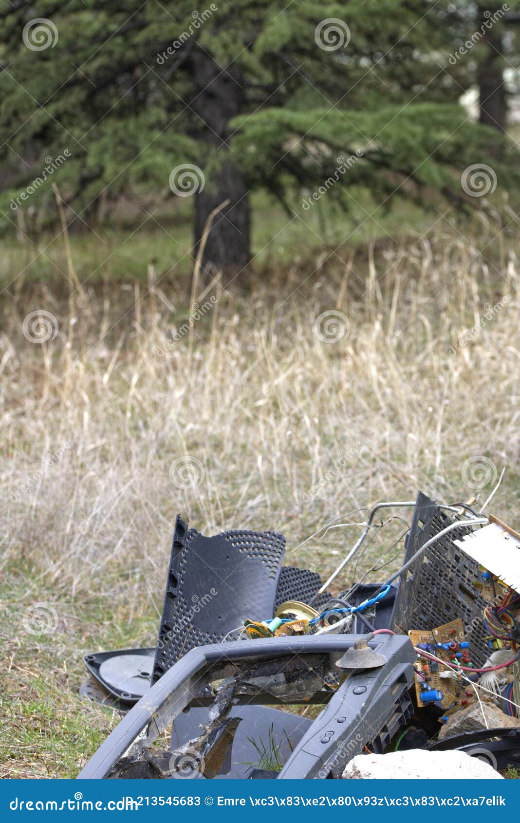 Shattered, Broken Monitor Thrown into the Forest Stock Image - Image of ...