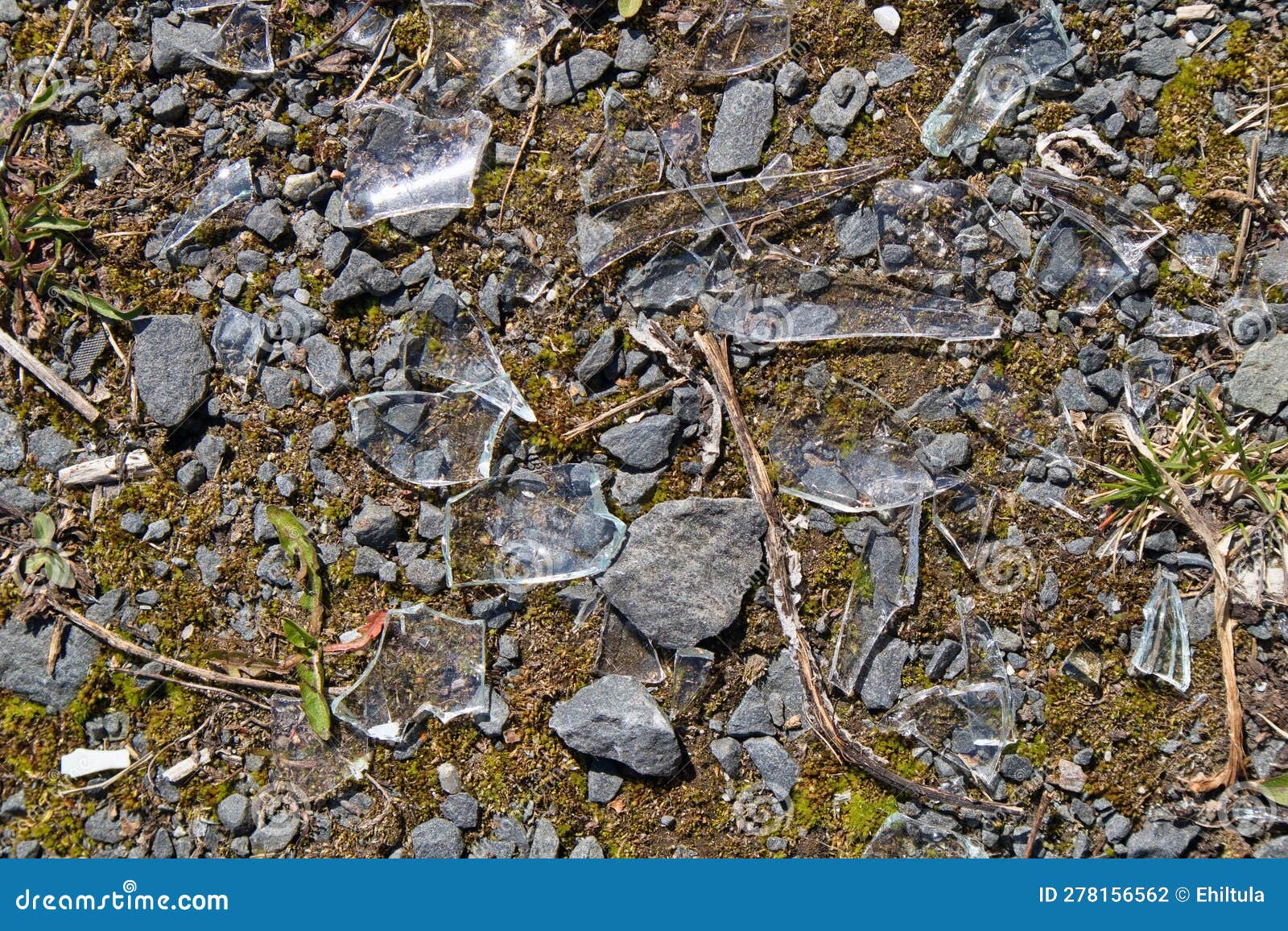 Shattered Glass Scattered on the Ground Stock Photo - Image of violence ...