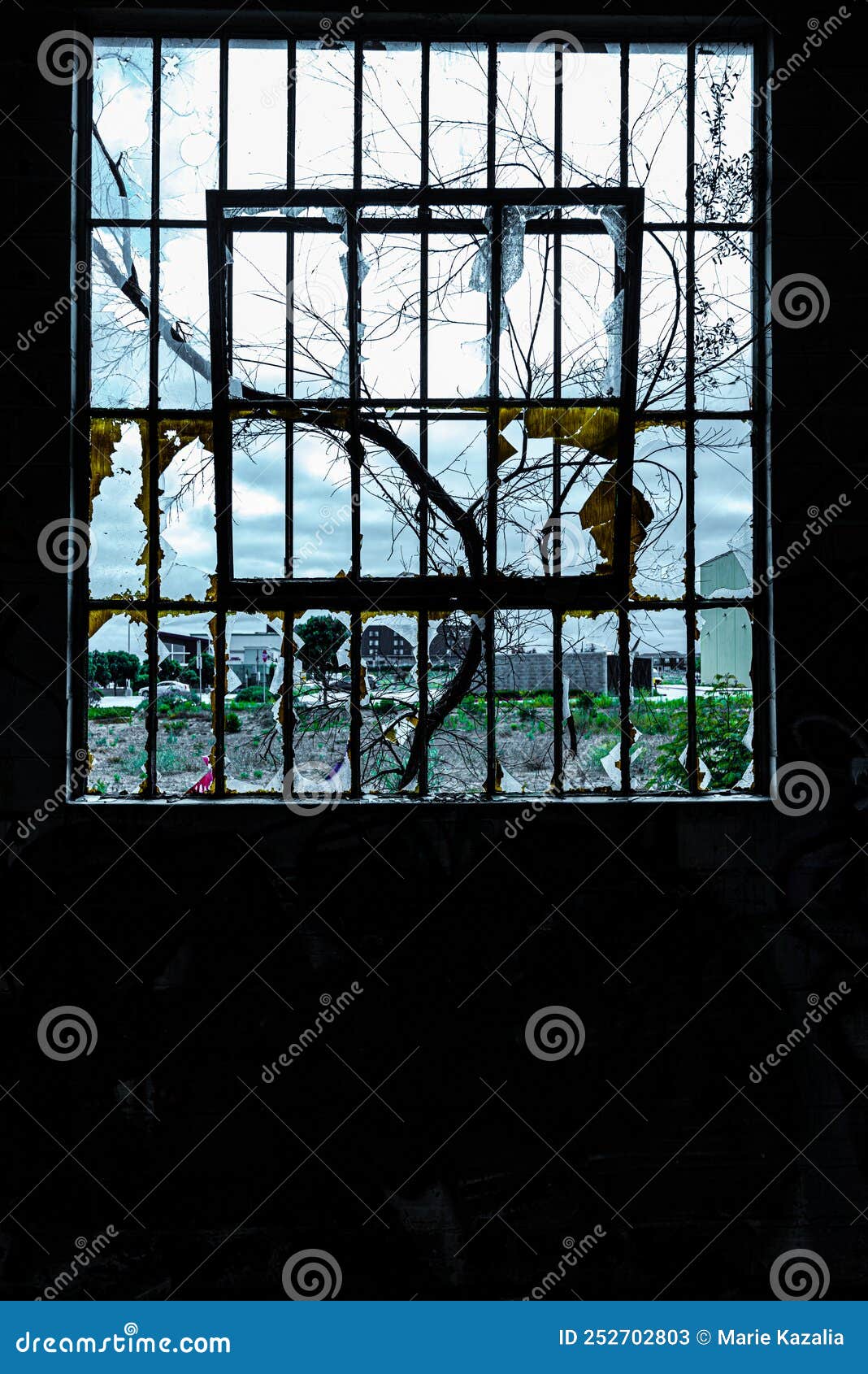 Shattered Glass Window Panes of Abandoned Building Stock Image - Image ...