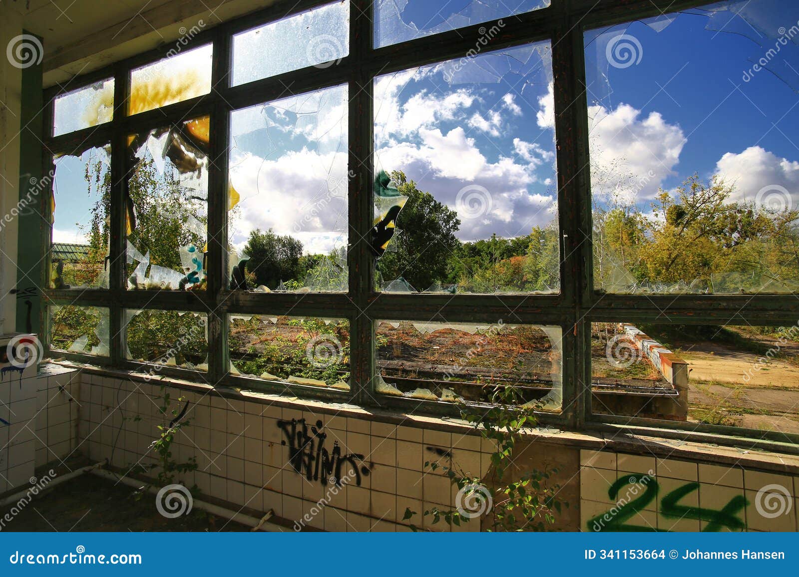 Shattered Glass Windows, Nature Reclaiming the View Beyond the Broken ...