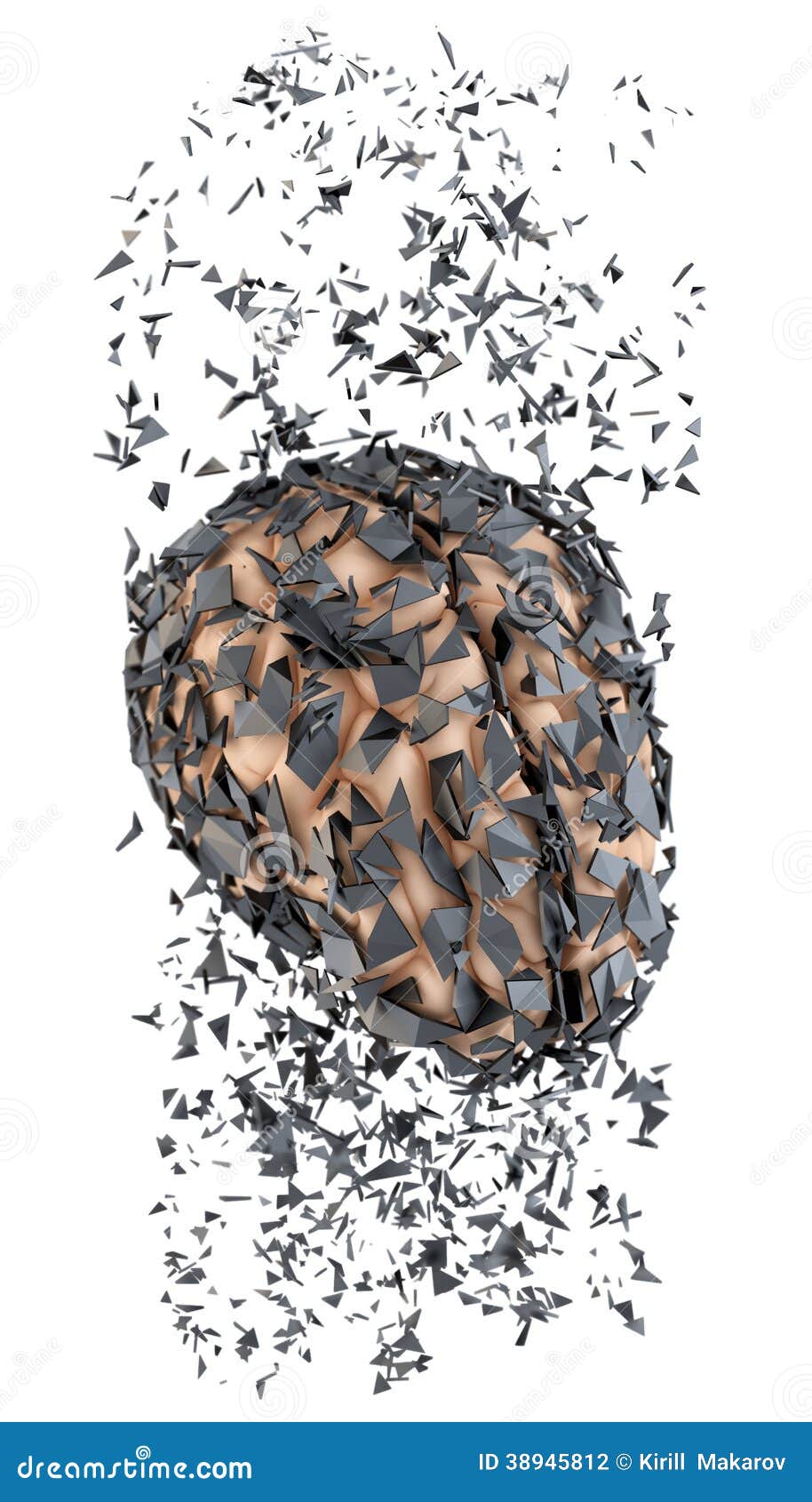 Shattered Human Brain. Isolated Stock Illustration - Illustration of ...