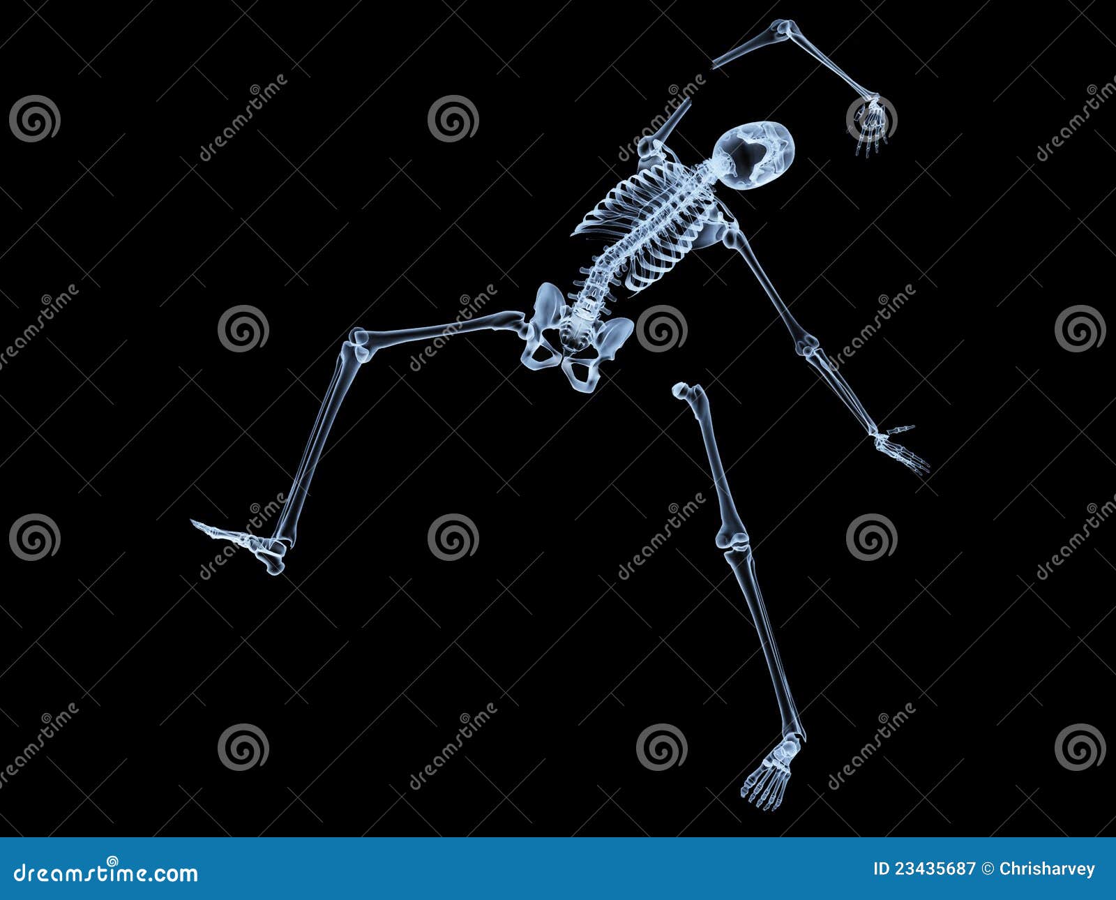 Shattered Skeleton Royalty-Free Stock Photography | CartoonDealer.com ...