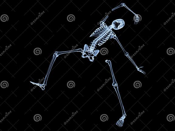 Shattered Skeleton stock illustration. Illustration of human - 23435687
