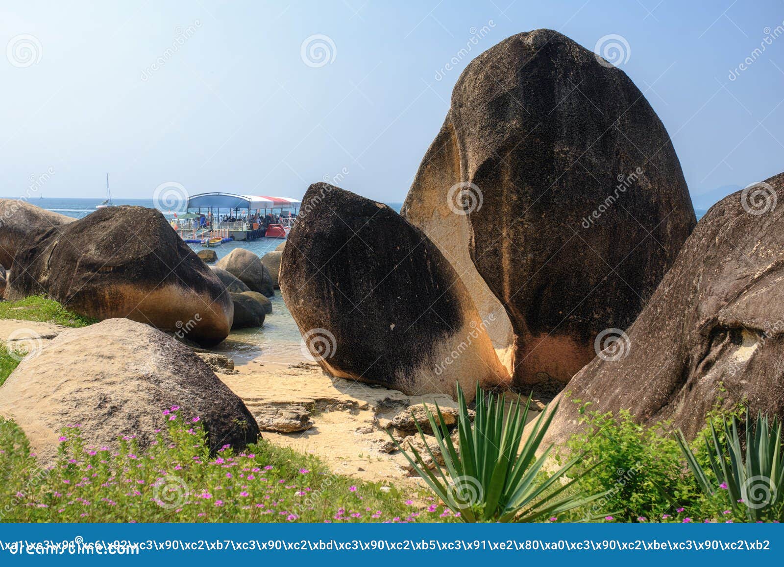 Shattered stone stock photo. Image of tree, stone, split - 214851164
