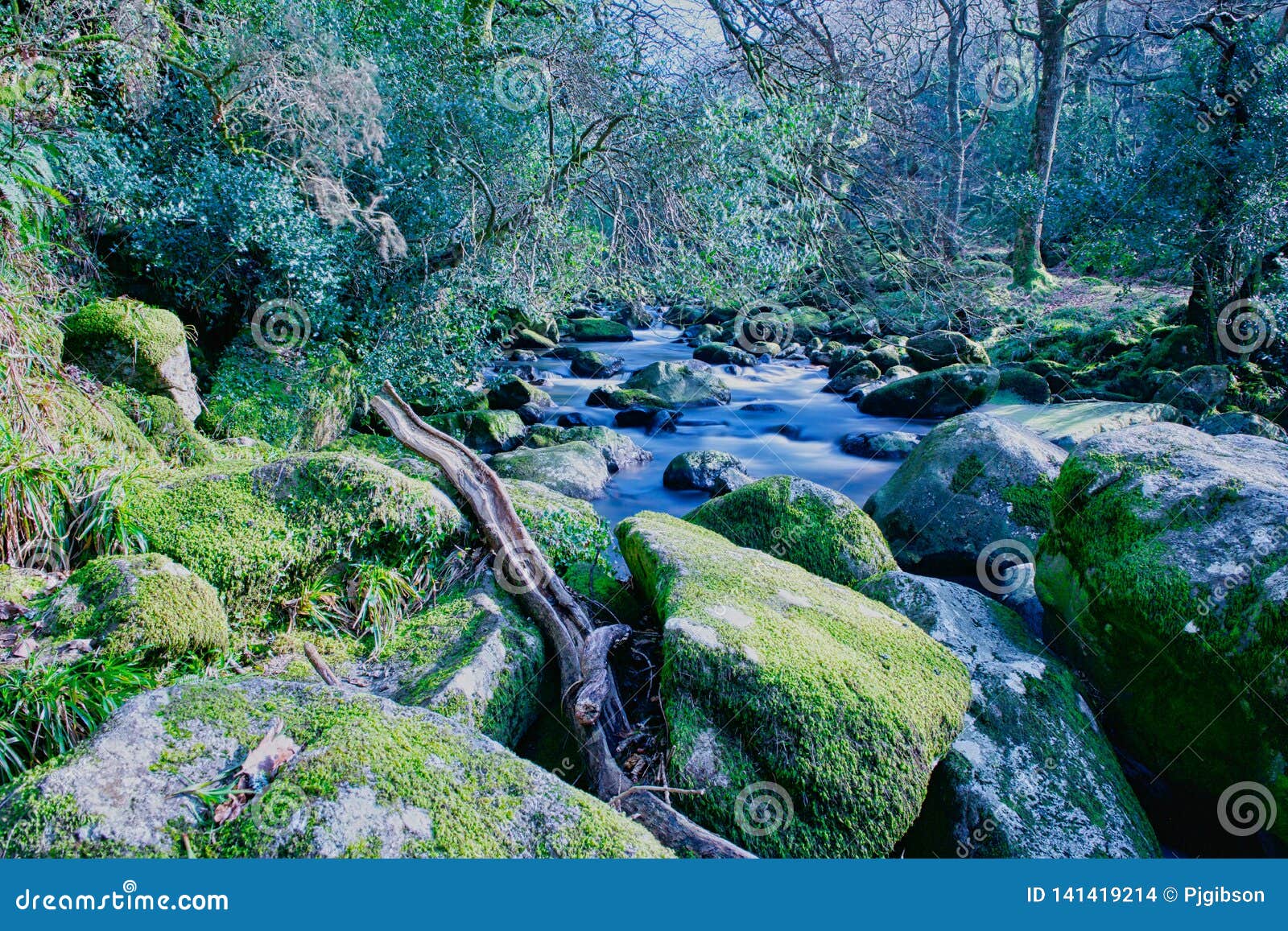 Shaugh Bridge Devon stock photo. Image of stones, dartmoor - 141419214