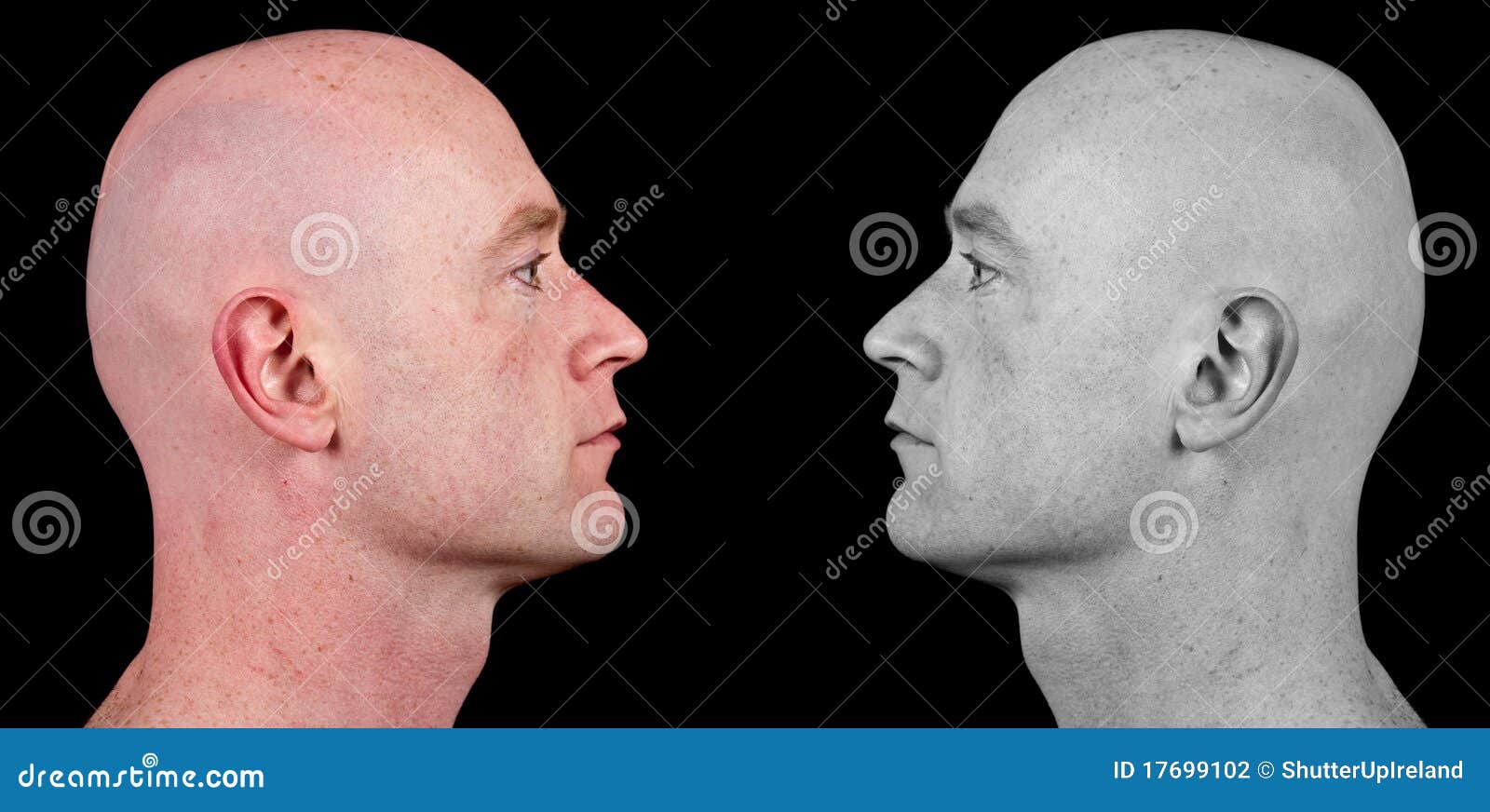 Shaved Bald Man Side Portrait Stock Photo - Image of model, happy: 17699102