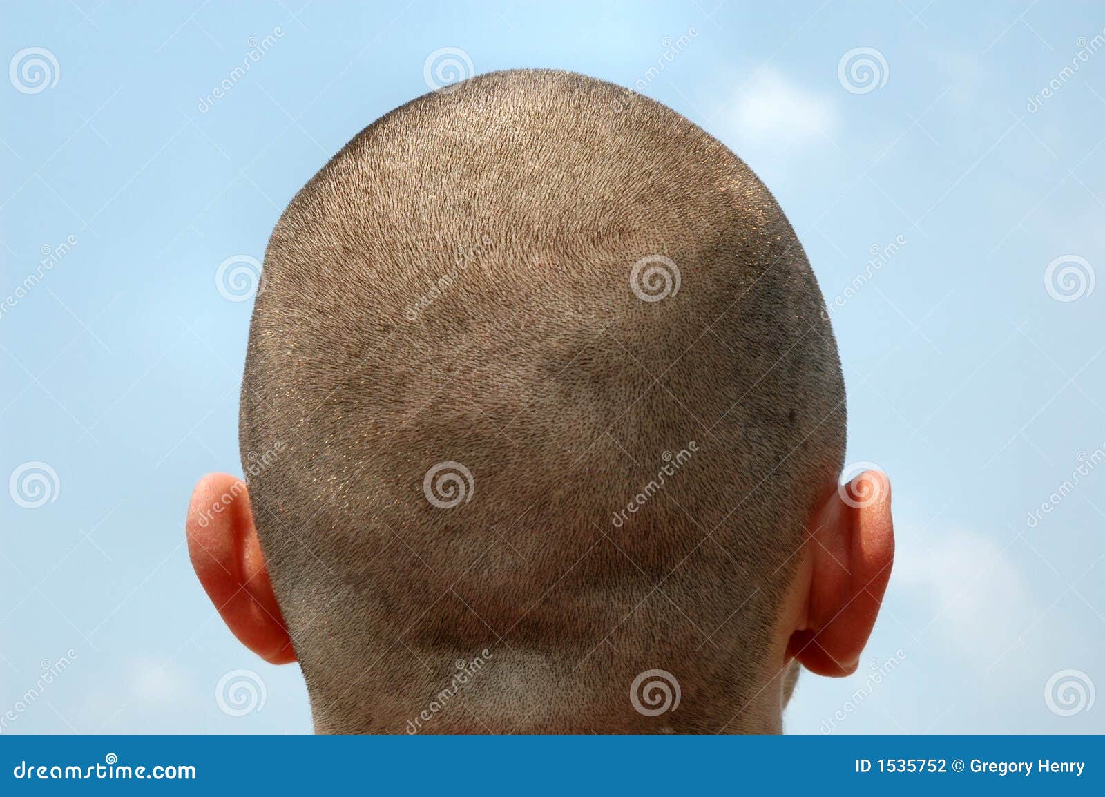 Shaved Head Blue Sky stock photo. Image of male, curved - 1535752