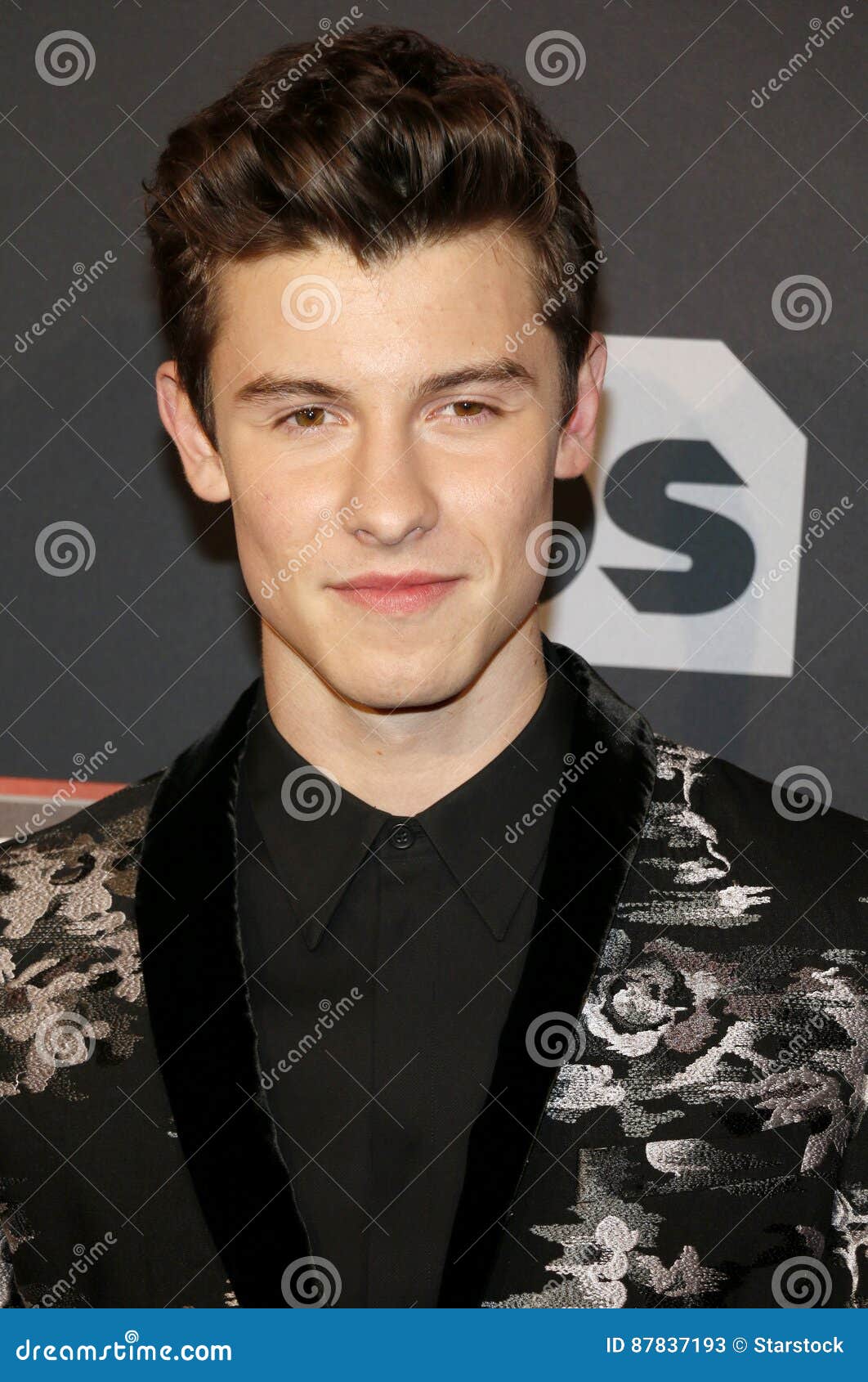 Shawn Mendes foto de archivo editorial. Imagen de artista - 87837193