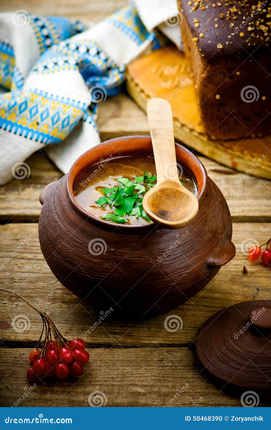 Shchi, Traditional Russian Soup from Cabbage. Stock Photo - Image of ...