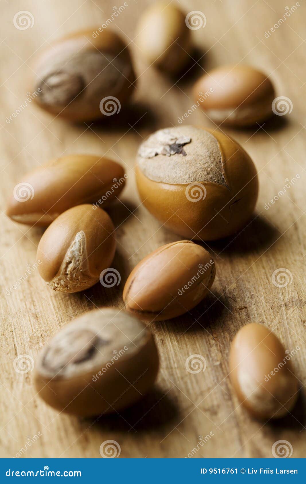 Argan Nuts Isolated. Three Argan Nuts With Green Leaves On An Isolated ...