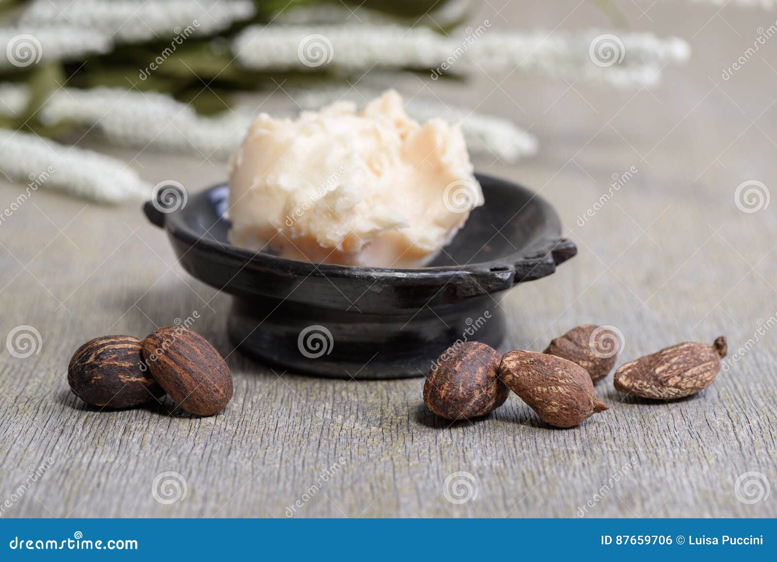 Shea butter nuts on white stock photo. Image of natural - 87659706