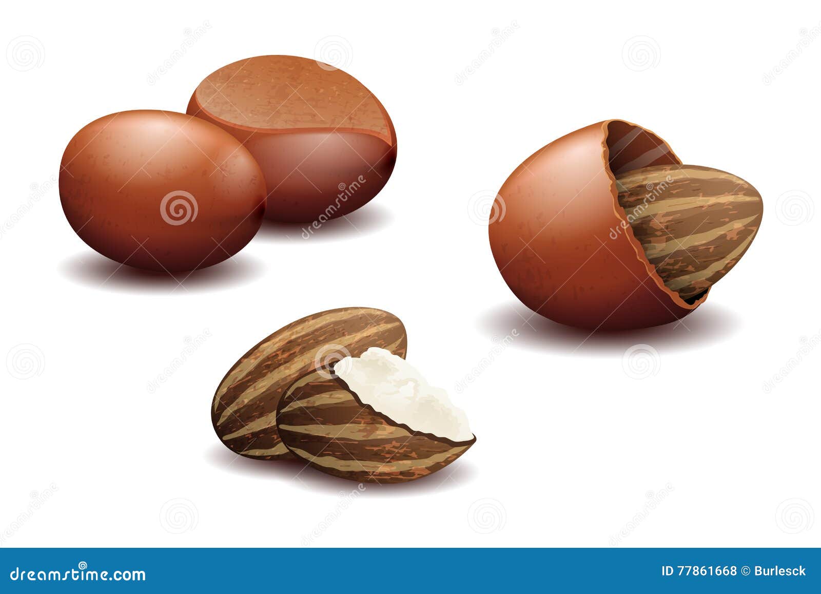 Shea Nut Seed Plant Kernel, Many Angles View Pile Stack, Basket, Husk ...