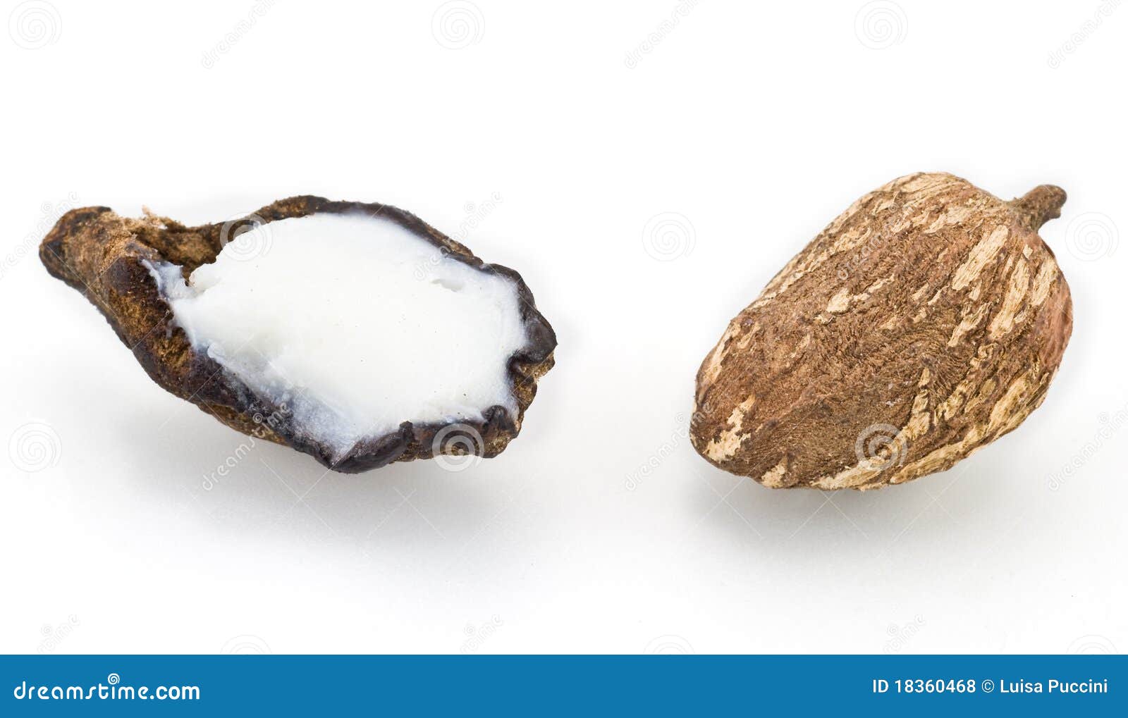 Shea nuts stock photo. Image of ingredient, background - 18360468