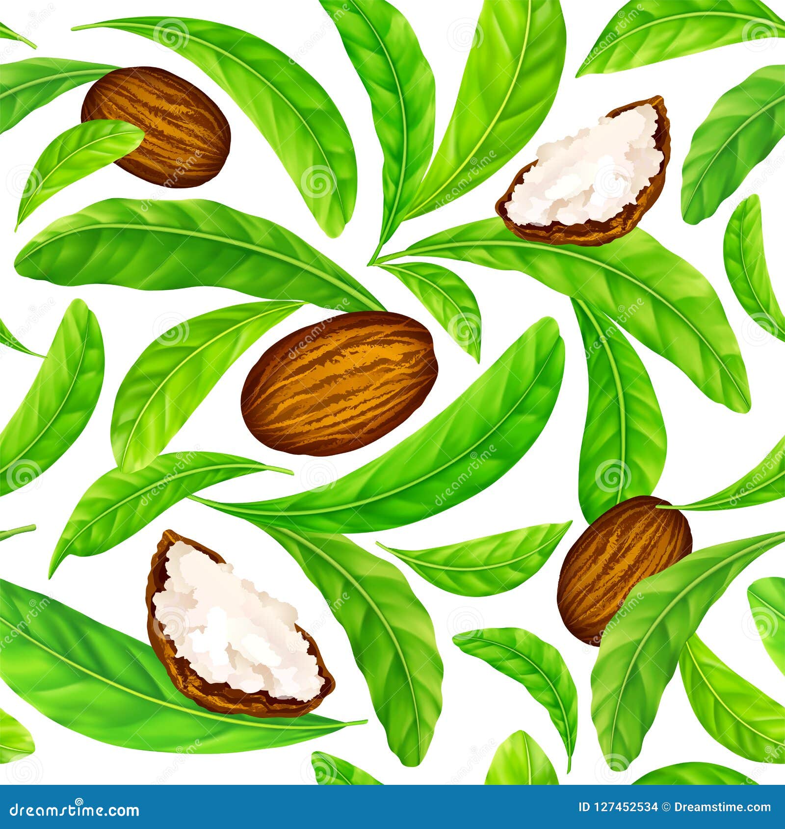 Shea Nuts with Leaves in Vector Pattern. Stock Vector - Illustration of ...
