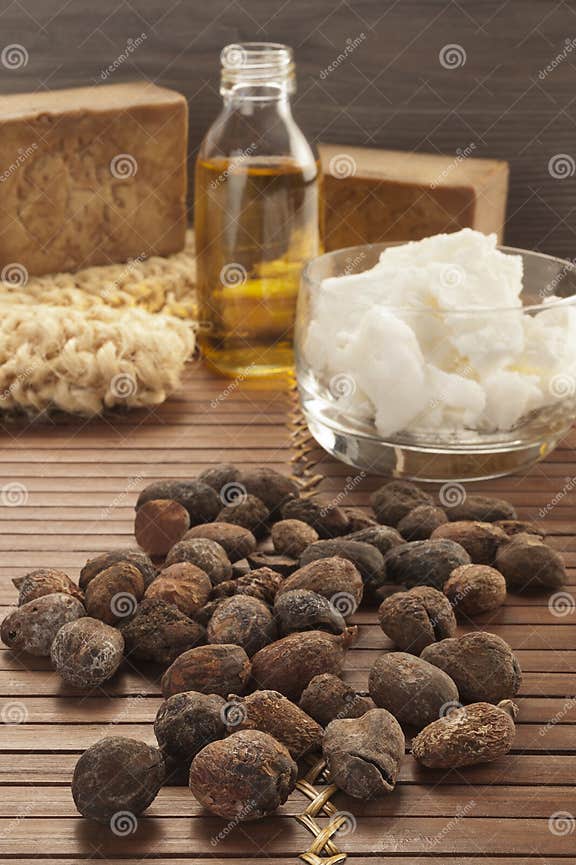 Shea Nuts on a Natural Background Stock Photo - Image of natural, seeds ...