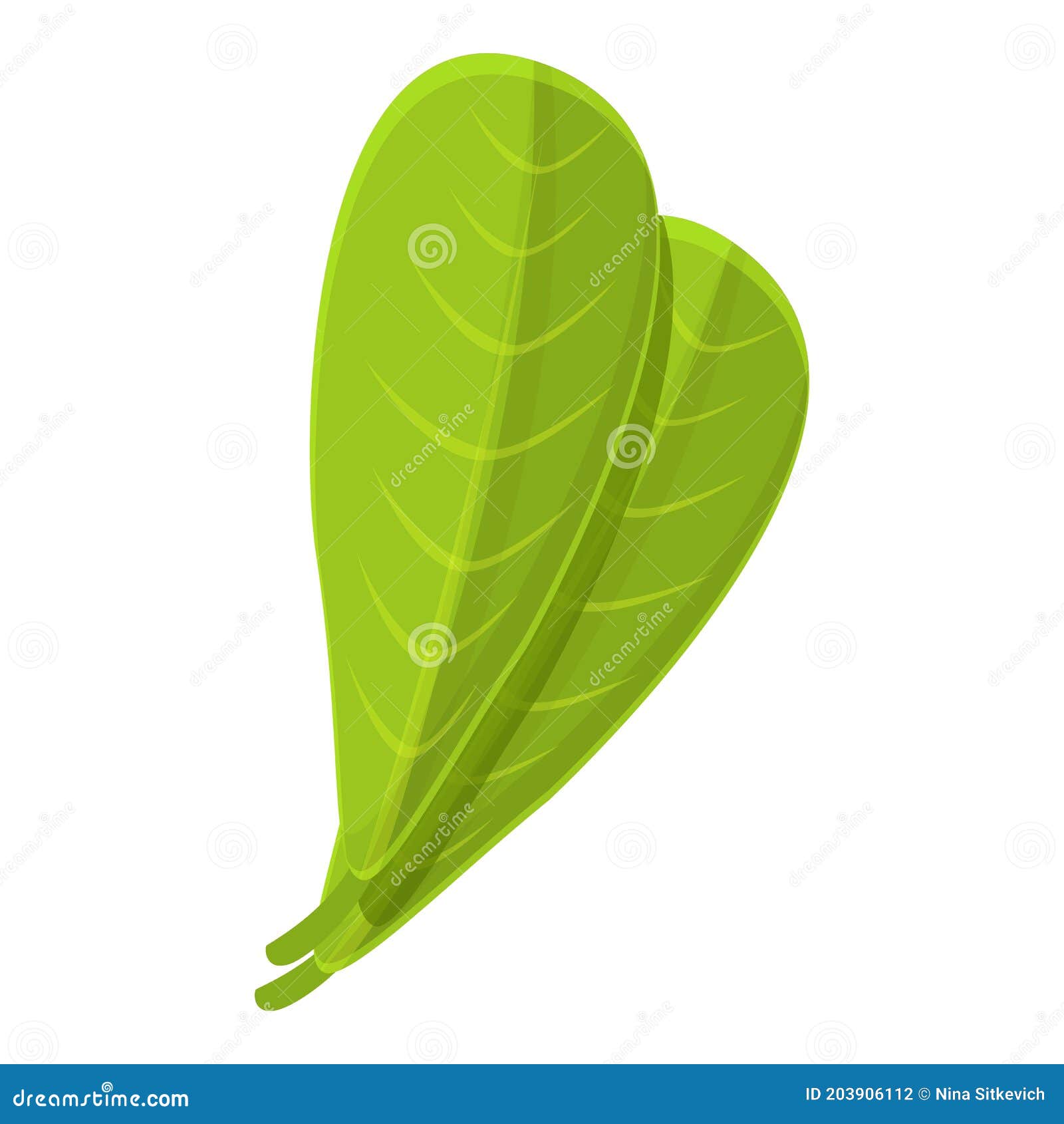 Shea Tree Leaf Icon, Cartoon Style Stock Vector - Illustration of ...