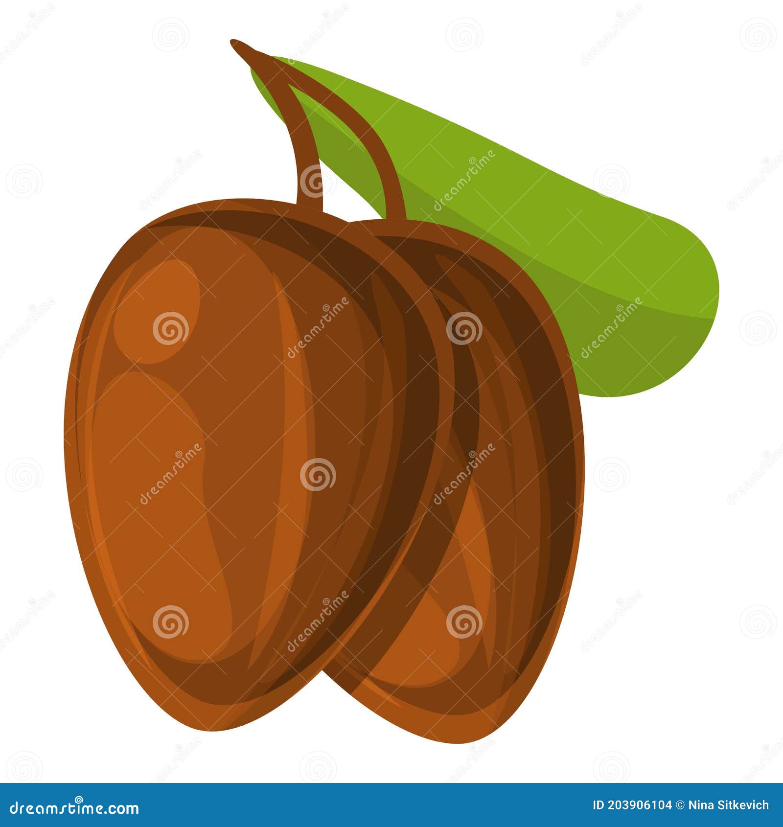 Shea Tree Nuts Icon, Cartoon Style Stock Vector - Illustration of ...