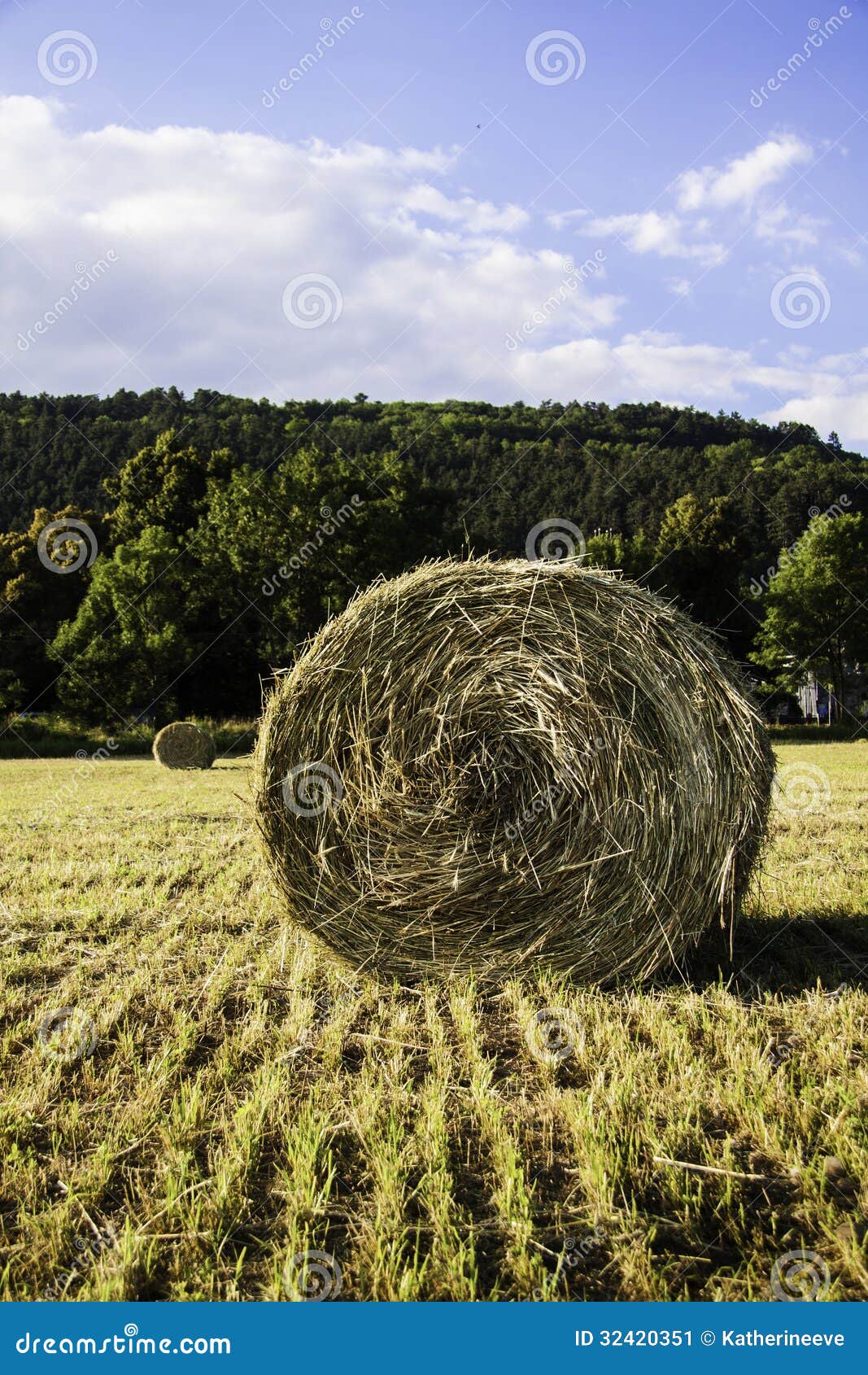 Sheaf of hay stock image. Image of mowed, mountain, clouds - 32420351