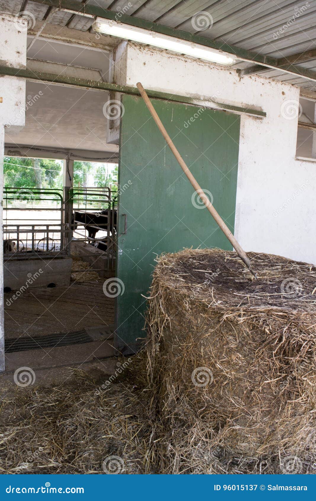 Sheaf of Hay with a Hayfork in Front of a Cattle Shed Stock Image ...