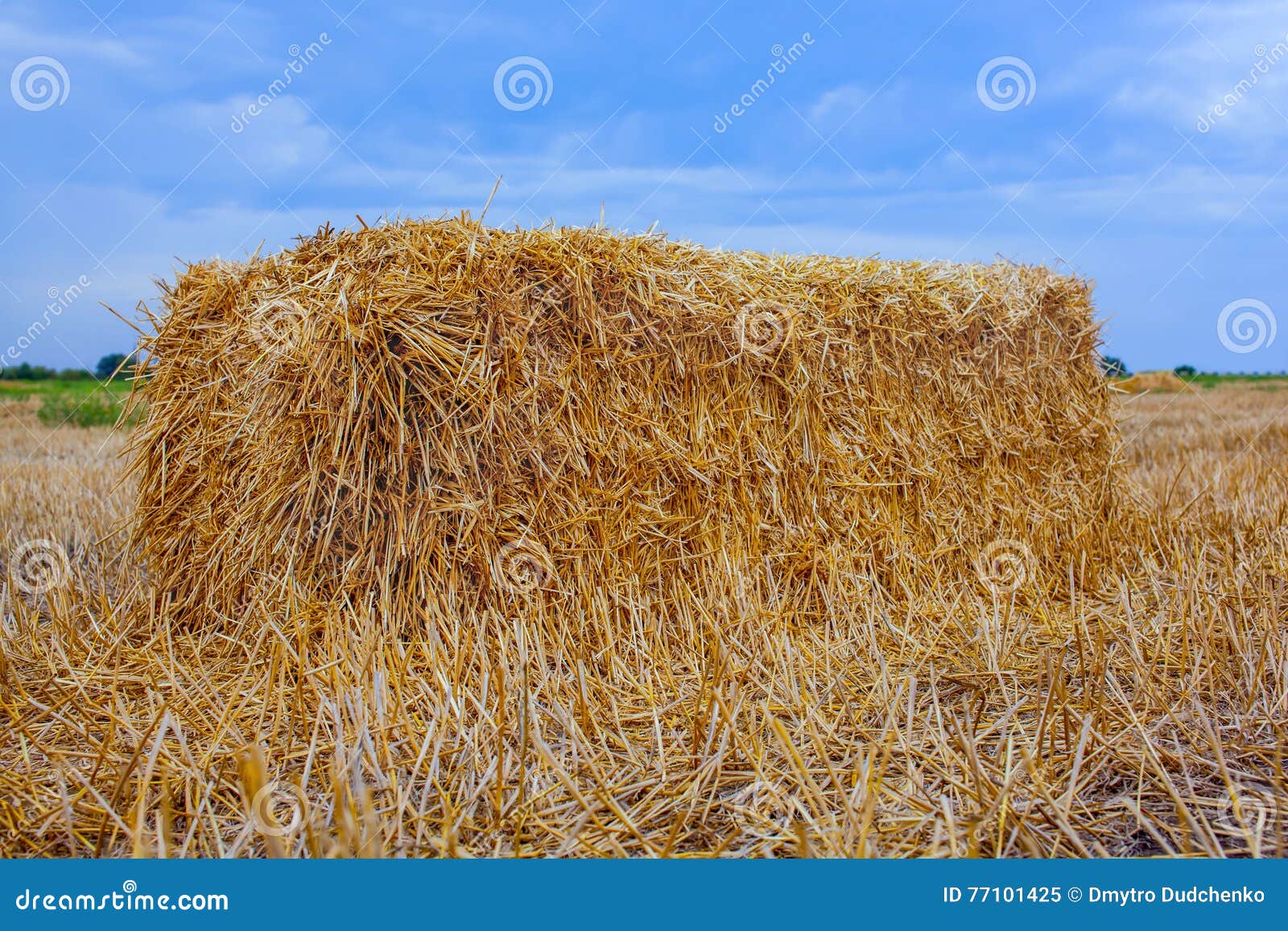 Sheaf of Hay, a Rectangular Shape is the Slant, a Wheat Field. Stock ...
