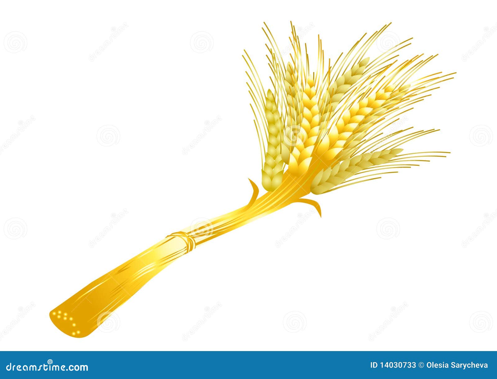 Sheaf of wheat stock vector. Illustration of dinner, baker - 14030733