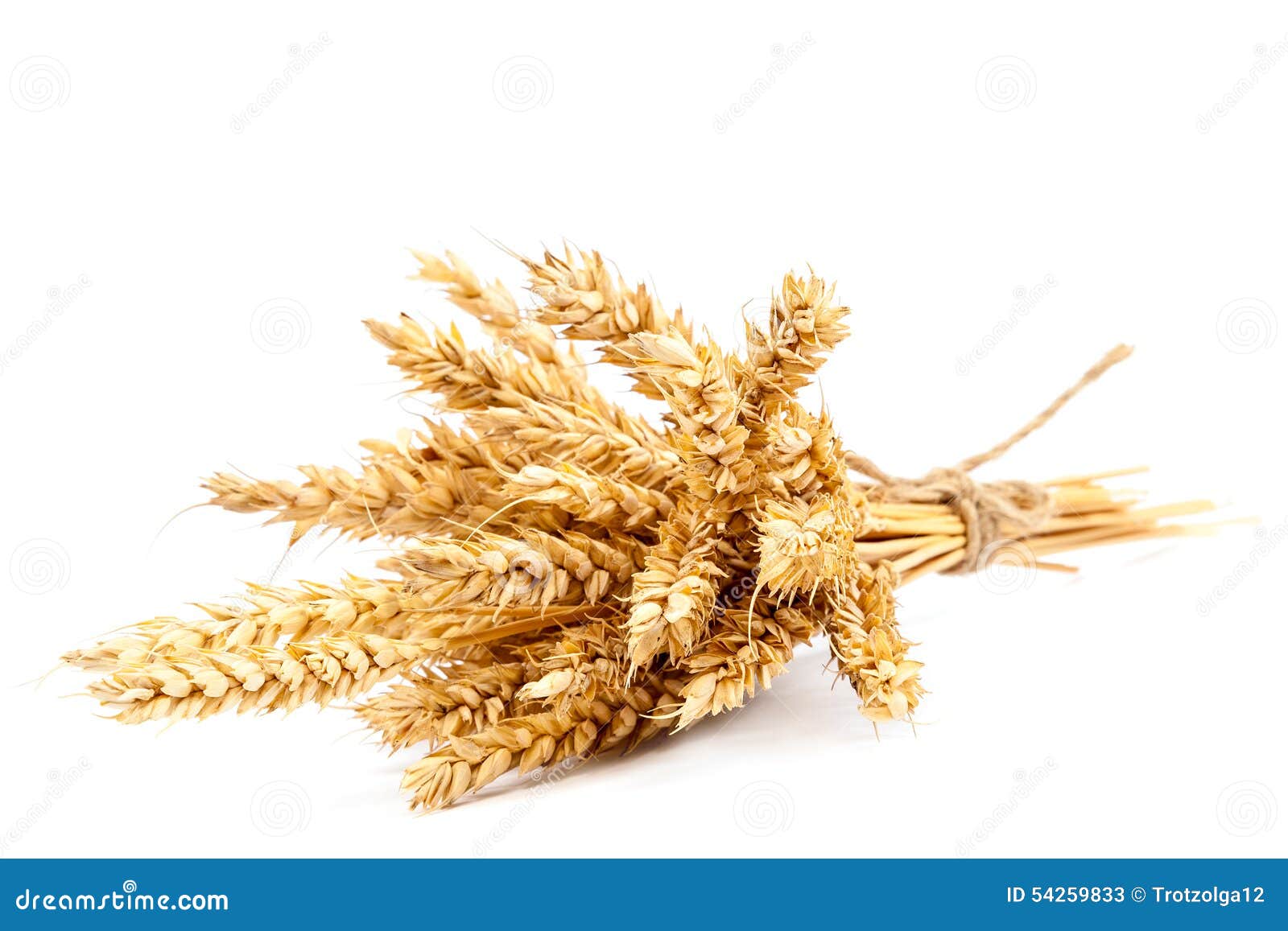 Sheaf of Wheat Ears on White Background. Stock Image - Image of bread ...