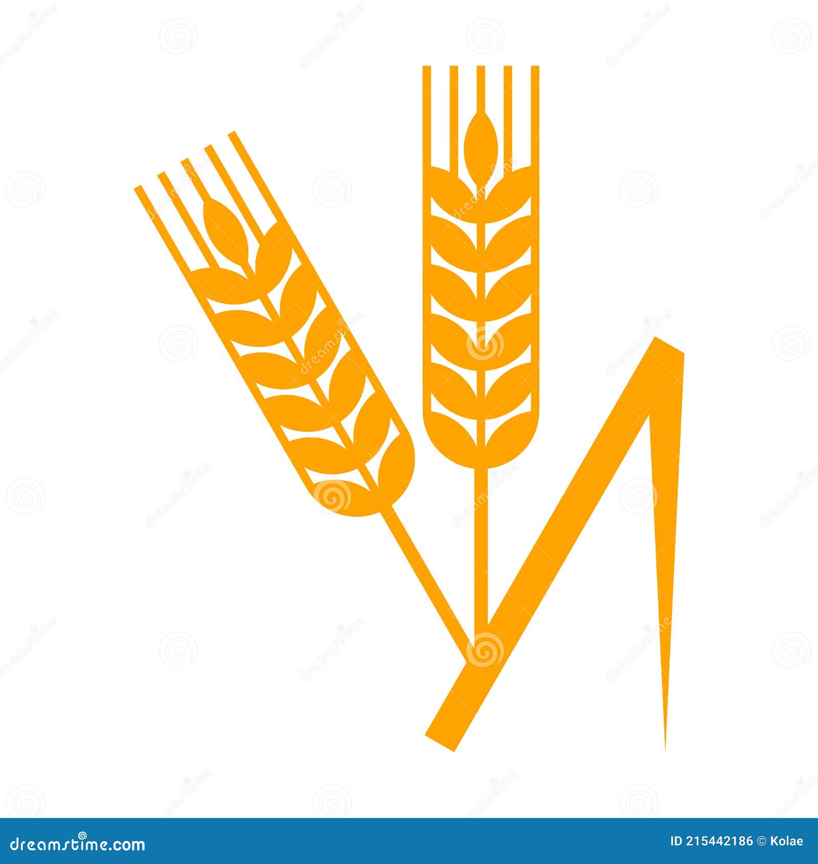Sheaf of wheat stock vector. Illustration of grain, botany - 215442186