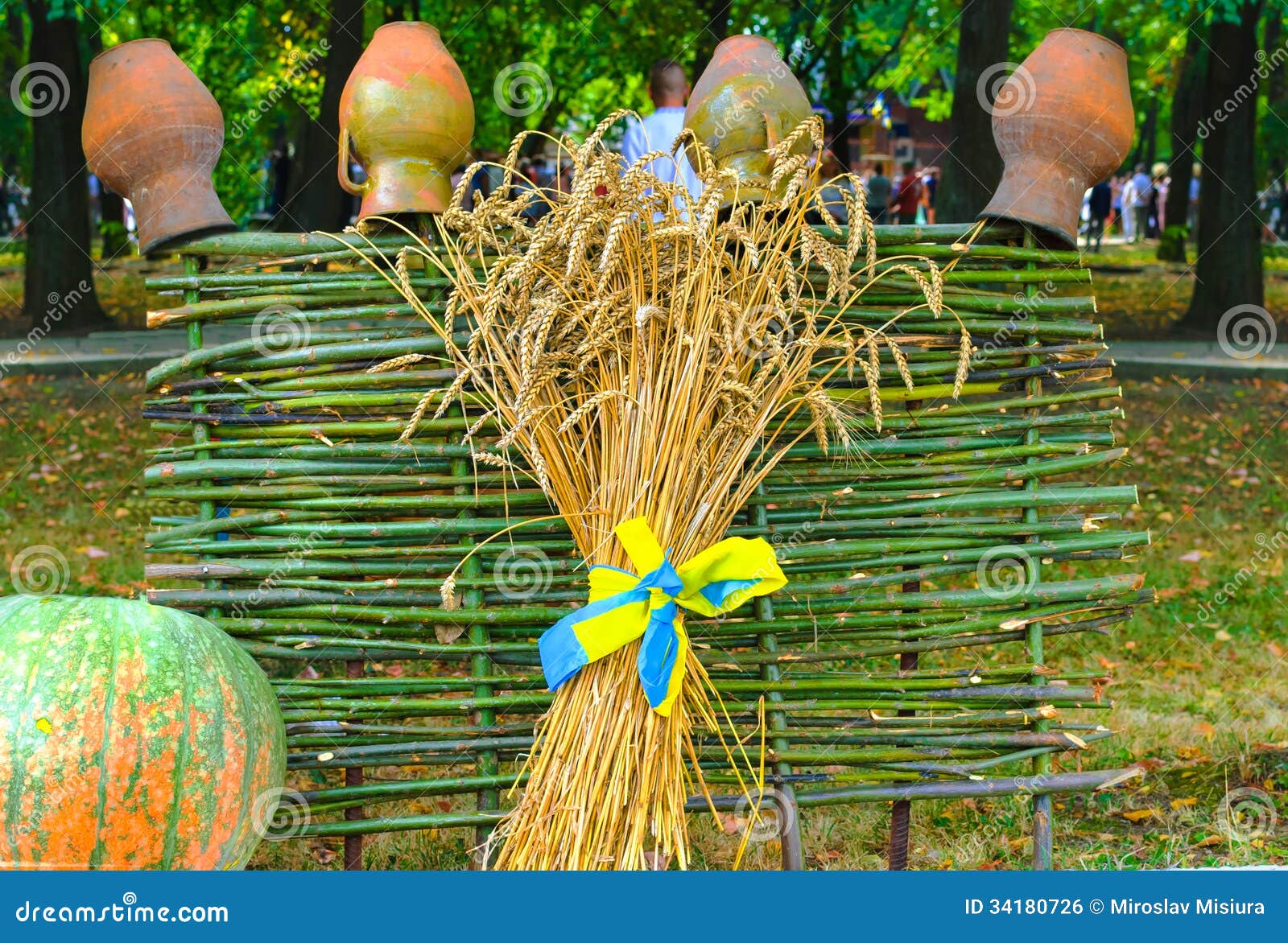 Sheaf of wheat stock photo. Image of healthy, agriculture - 34180726