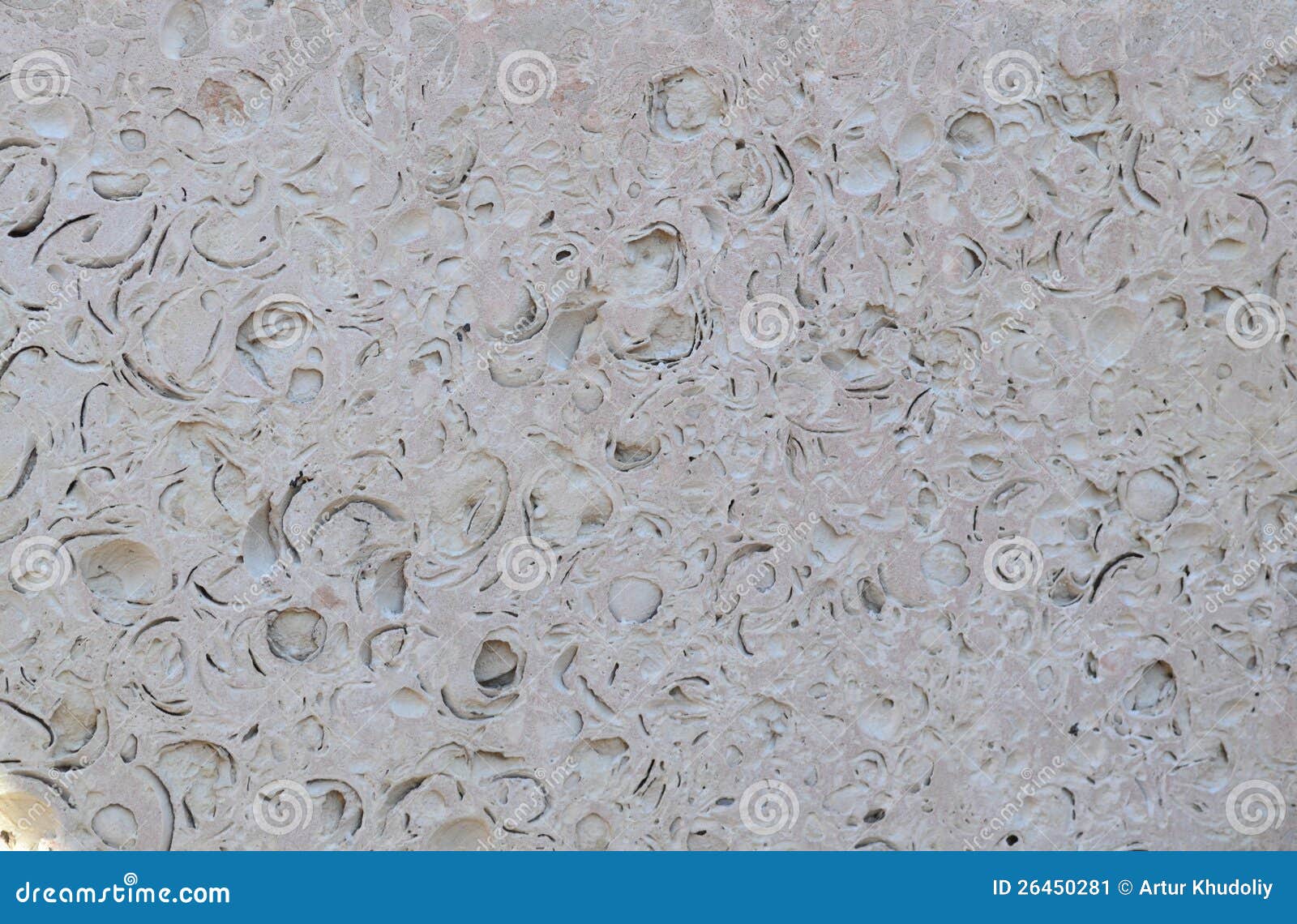 Shearing shell rock stock image. Image of material, grey - 26450281