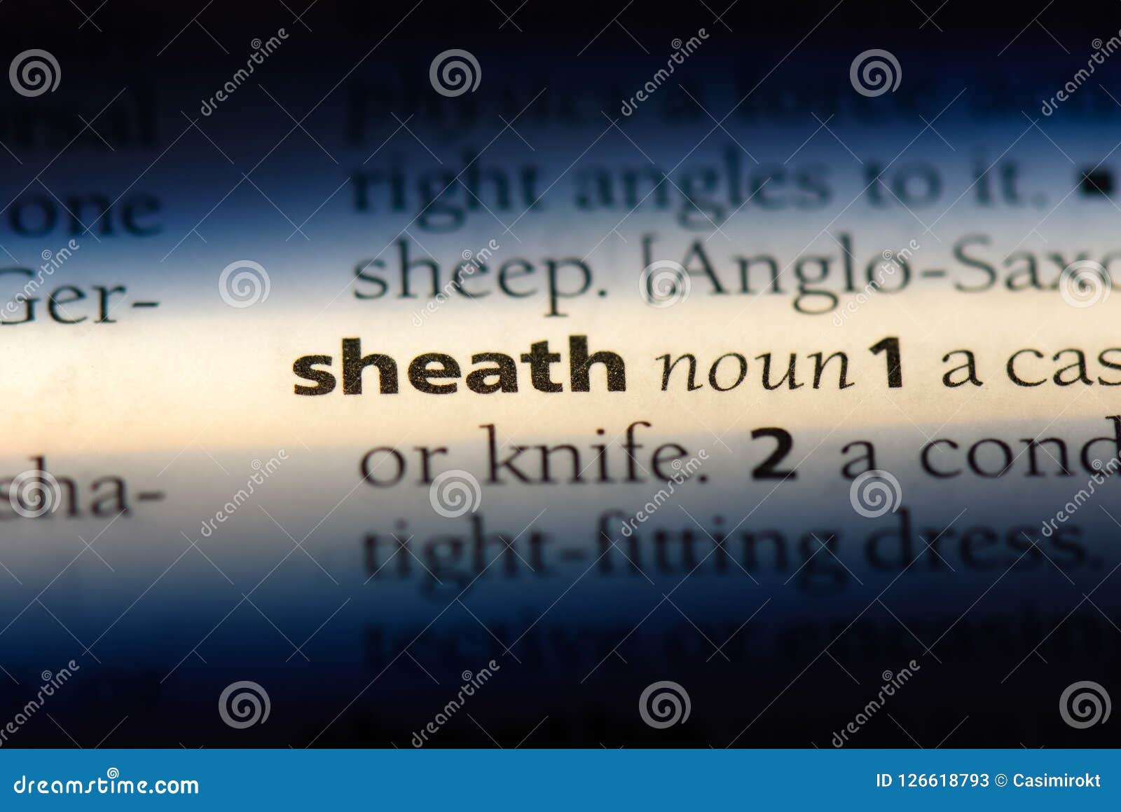 Sheath stock image. Image of sheath, isolated, printed - 126618793