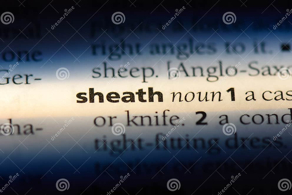 Sheath stock image. Image of sheath, isolated, printed - 126618793