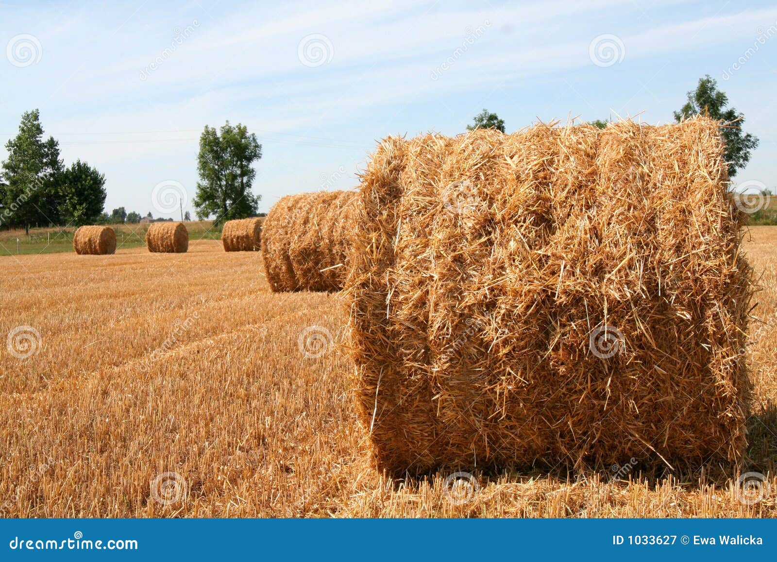 Sheaves stock image. Image of field, pasture, summer, outdoors - 1033627