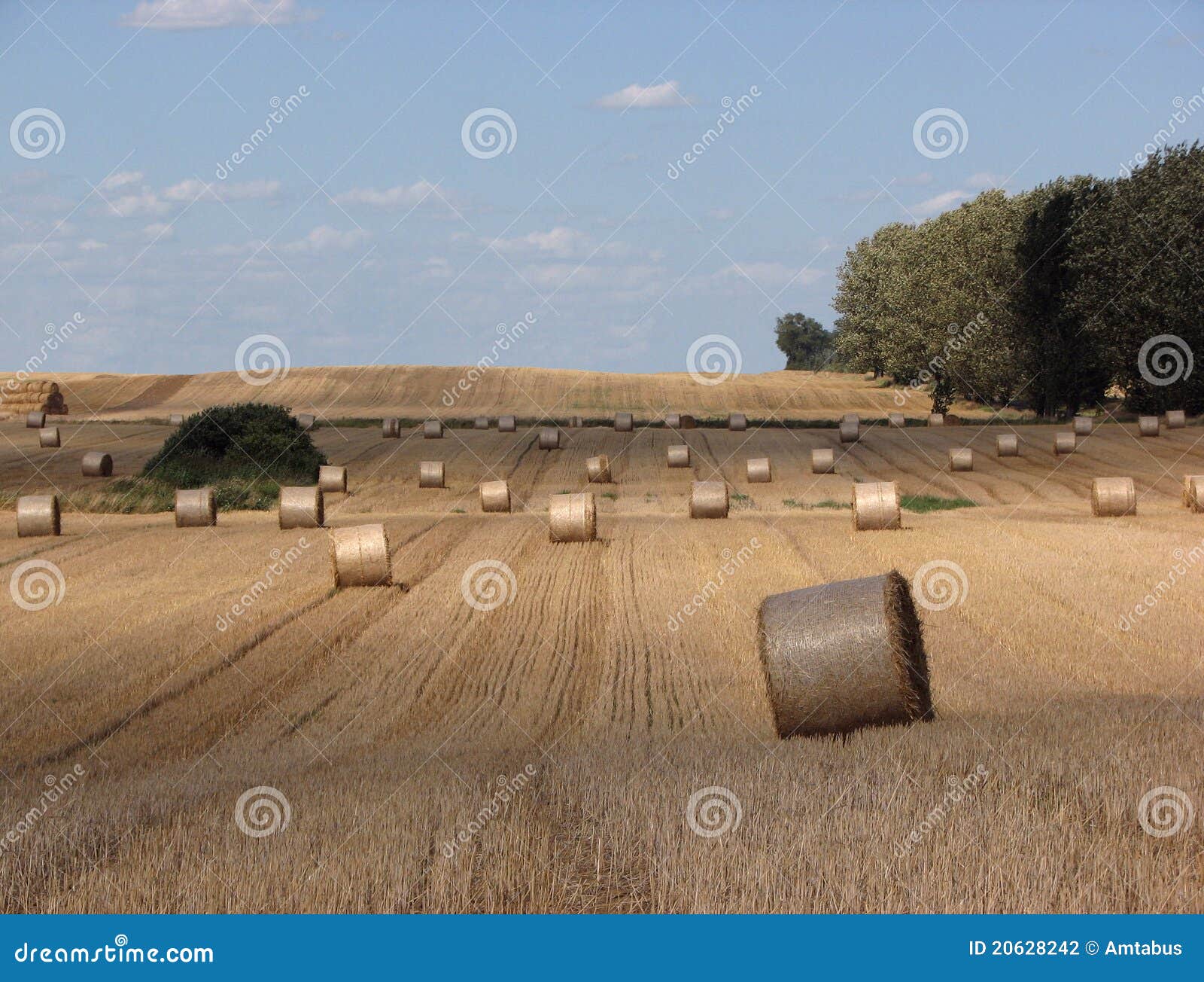 Sheaves of hay stock photo. Image of blue, packing, country - 20628242