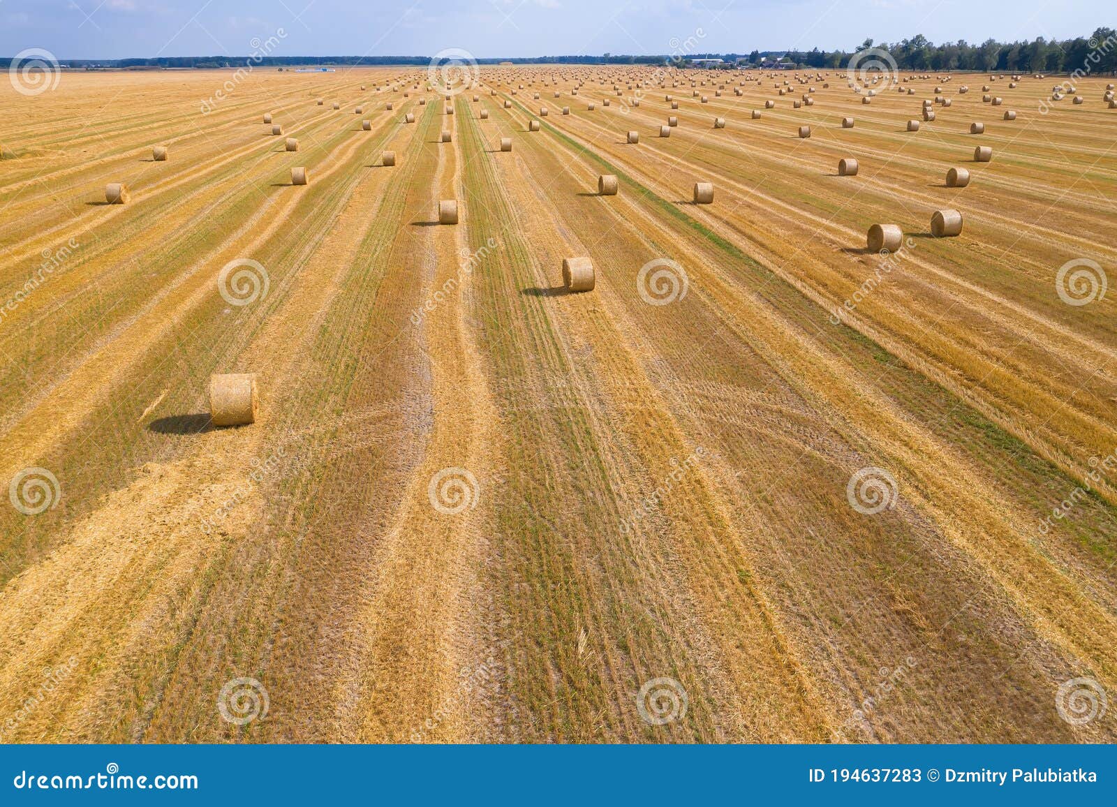 Sheaves of Straw in a Wheat Field Top View Stock Image - Image of ...