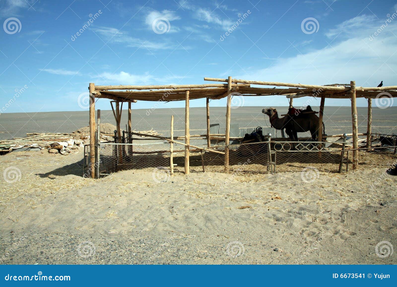 A Shed And A Camel Picture. Image: 6673541