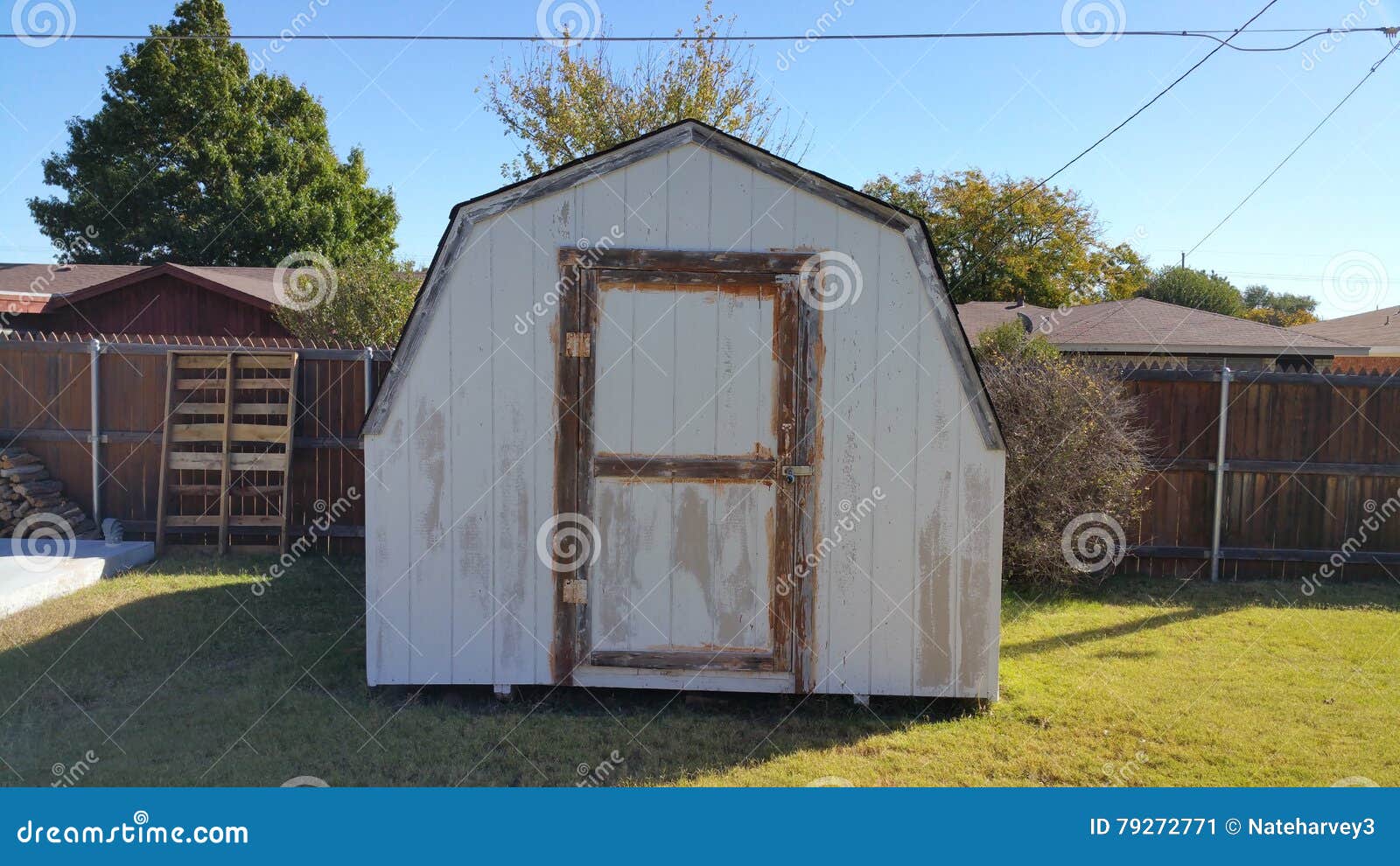 Shed on Grass stock image. Image of tree, backyard, door - 79272771